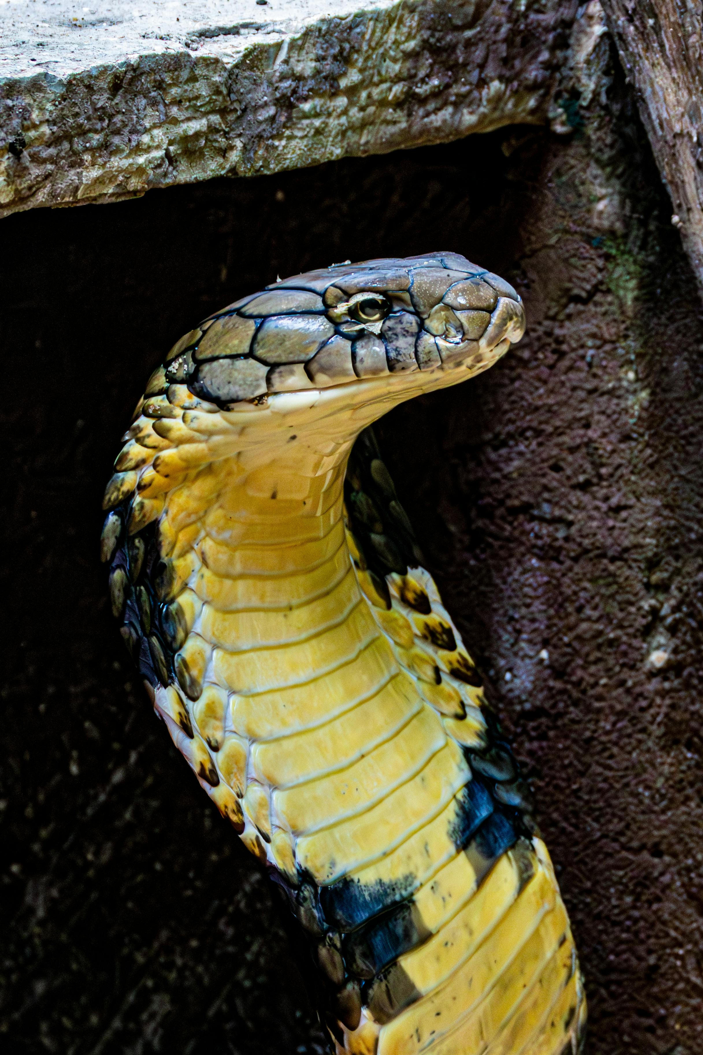 Hannah+Barron+Bikini Photos, Download The BEST Free Hannah+Barron ...