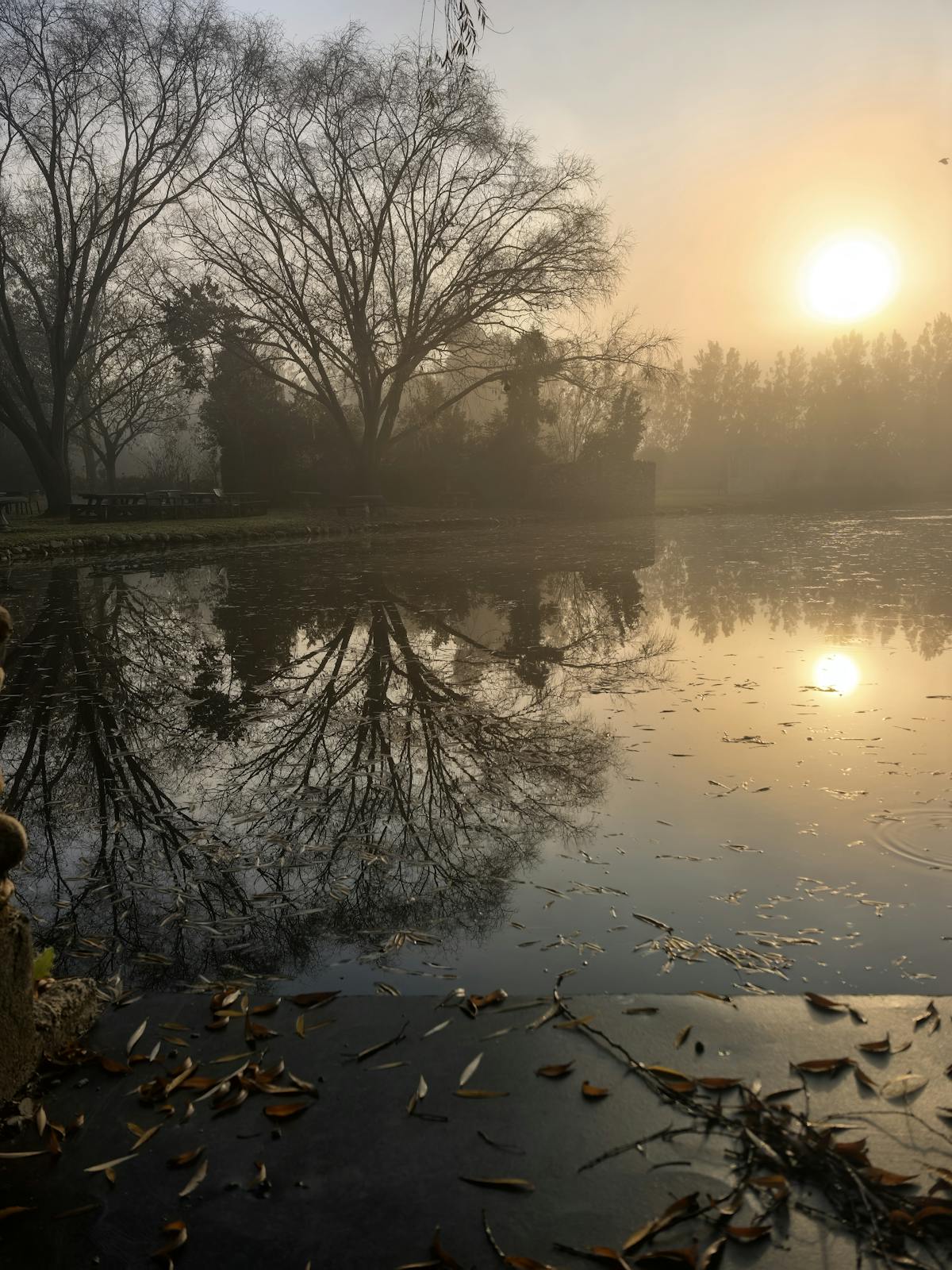 Troll+Images Photos, Download The BEST Free Troll+Images Stock Photos ...