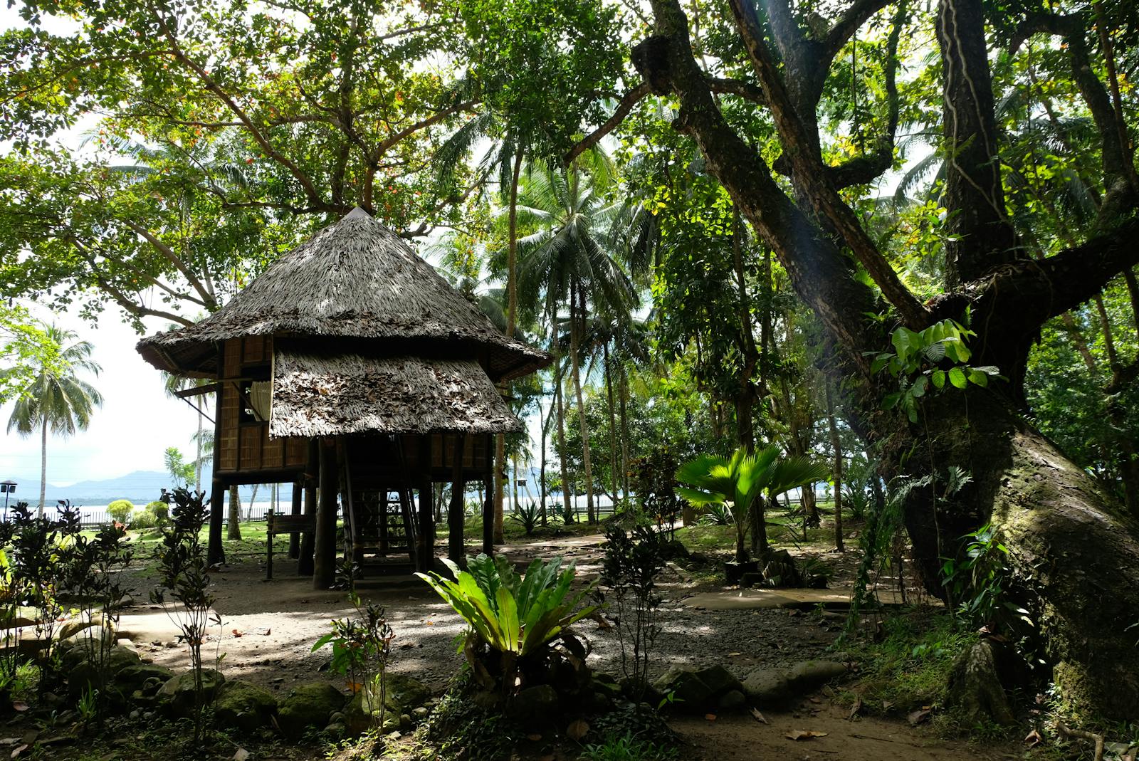 Pagmamano In The Philippines Photos, Download The BEST Free Pagmamano ...