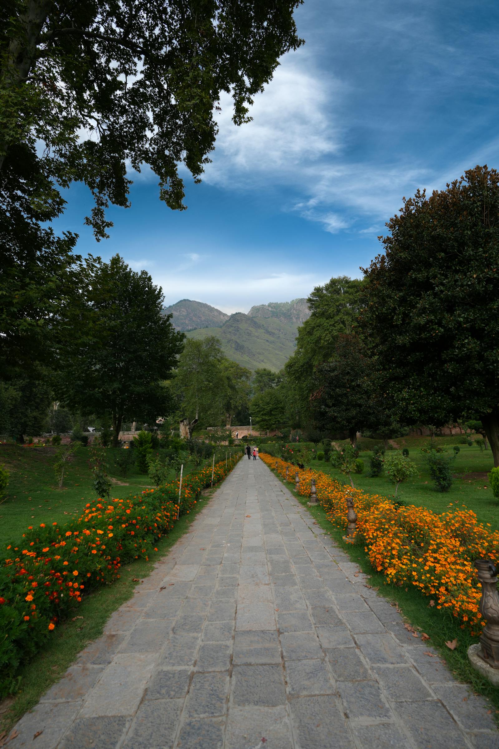 Srinagar Photos, Download The BEST Free Srinagar Stock Photos & HD Images