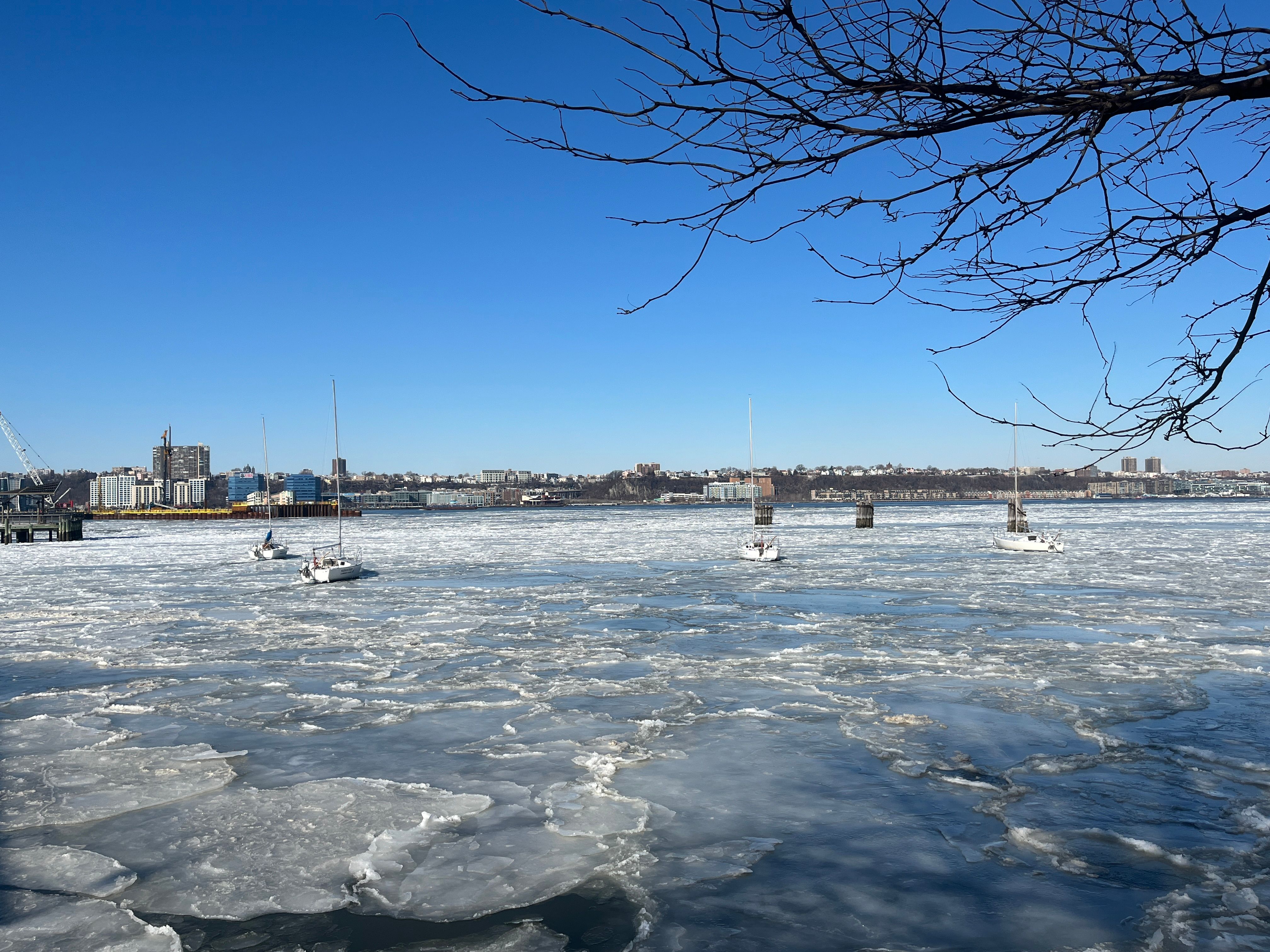 Ice Agents Photos, Download The BEST Free Ice Agents Stock Photos & HD ...
