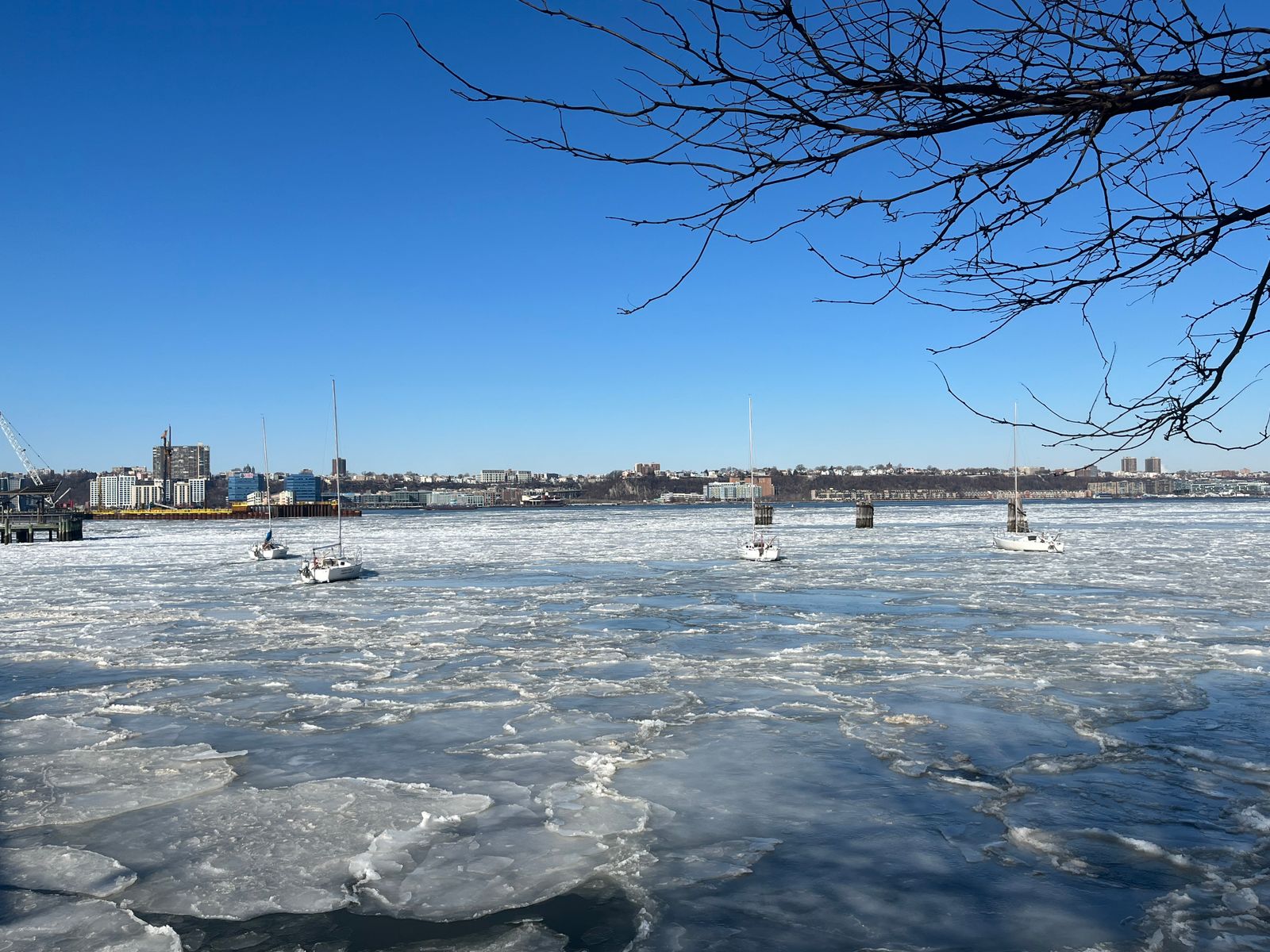 Ice Agents Photos, Download The BEST Free Ice Agents Stock Photos & HD ...
