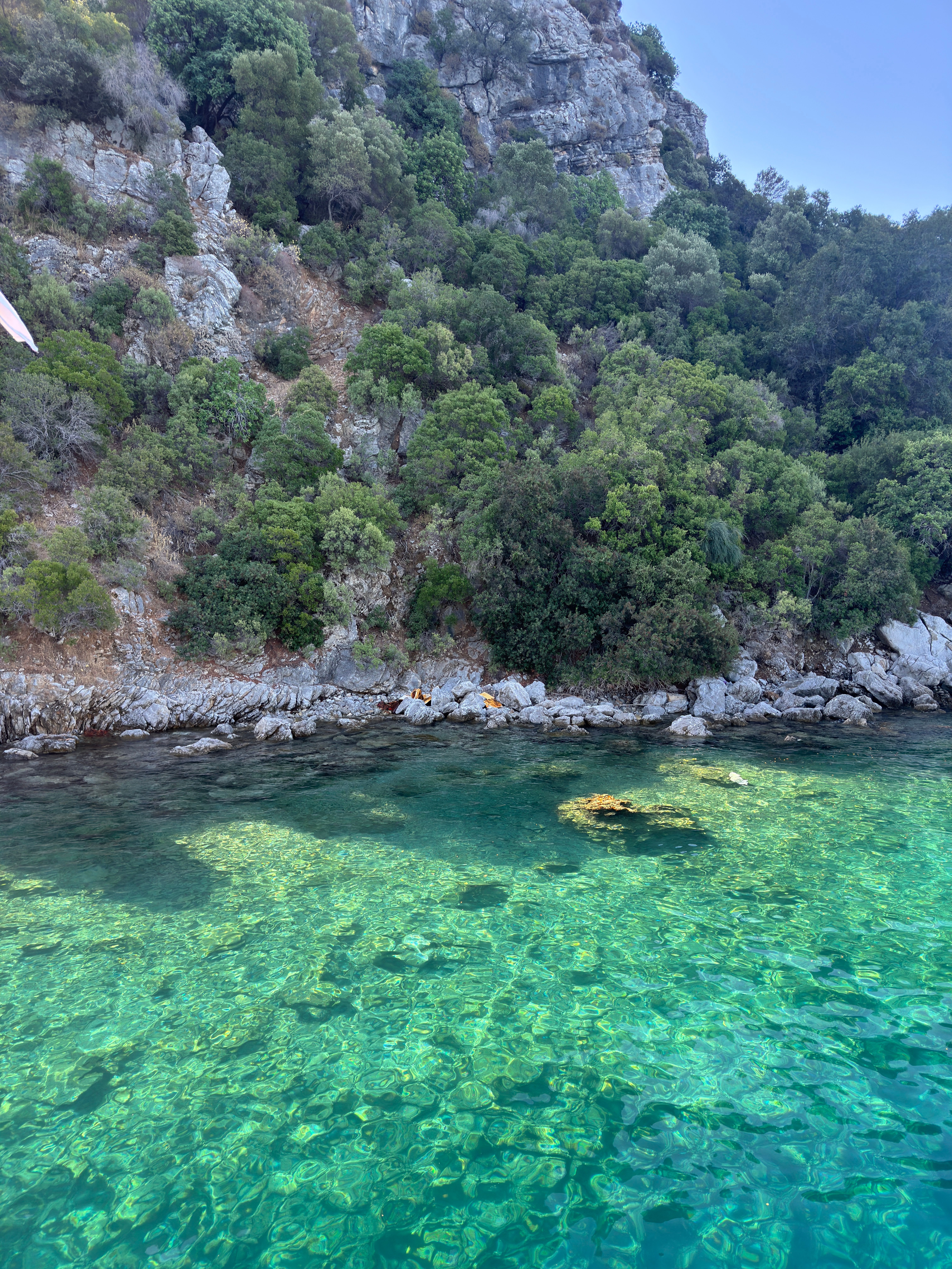 Crystal Clear Turquoise Waters and Rocky Shoreline · Free Stock Photo