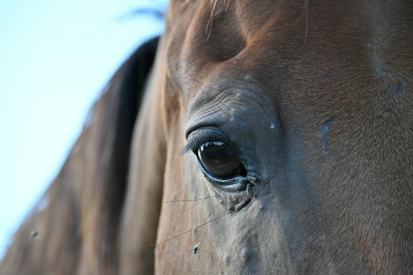 Side Eye Photos, Download The BEST Free Side Eye Stock Photos & HD Images