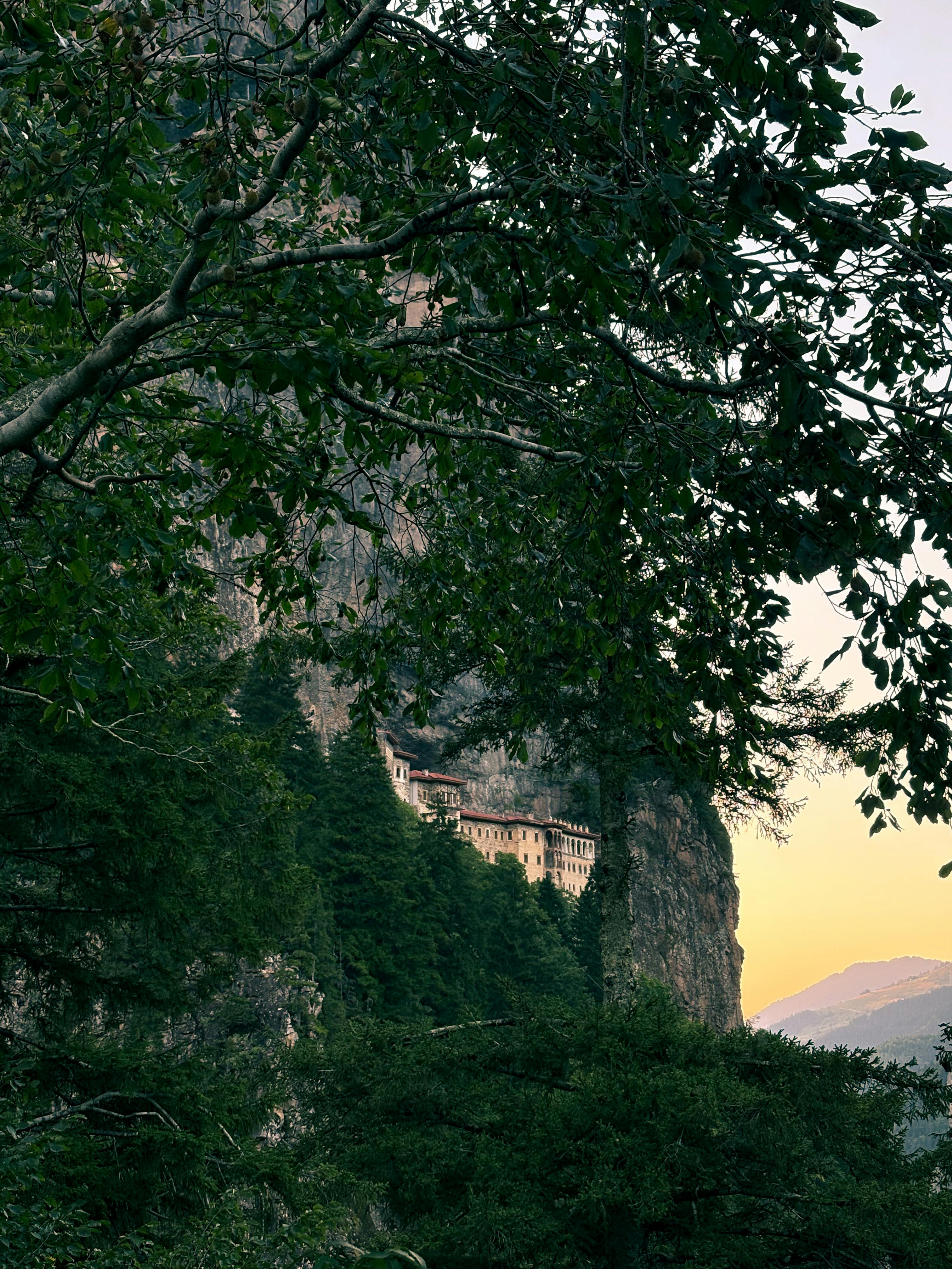 Mary+Bruce+Abc+News+Bikini Photos, Download The BEST Free Mary+Bruce ...