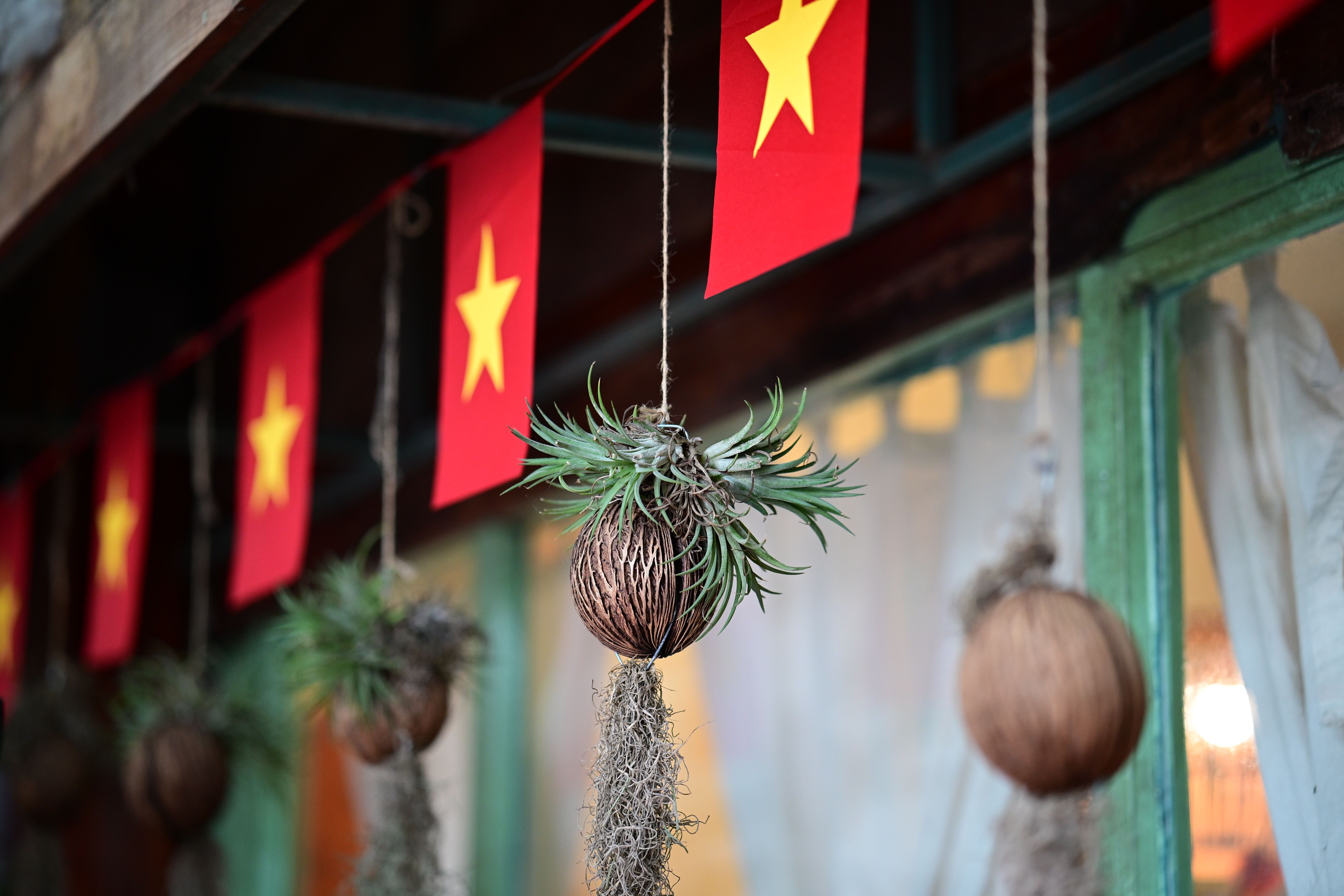Vietnamese Flags and Hanging Tropical Plants · Free Stock Photo