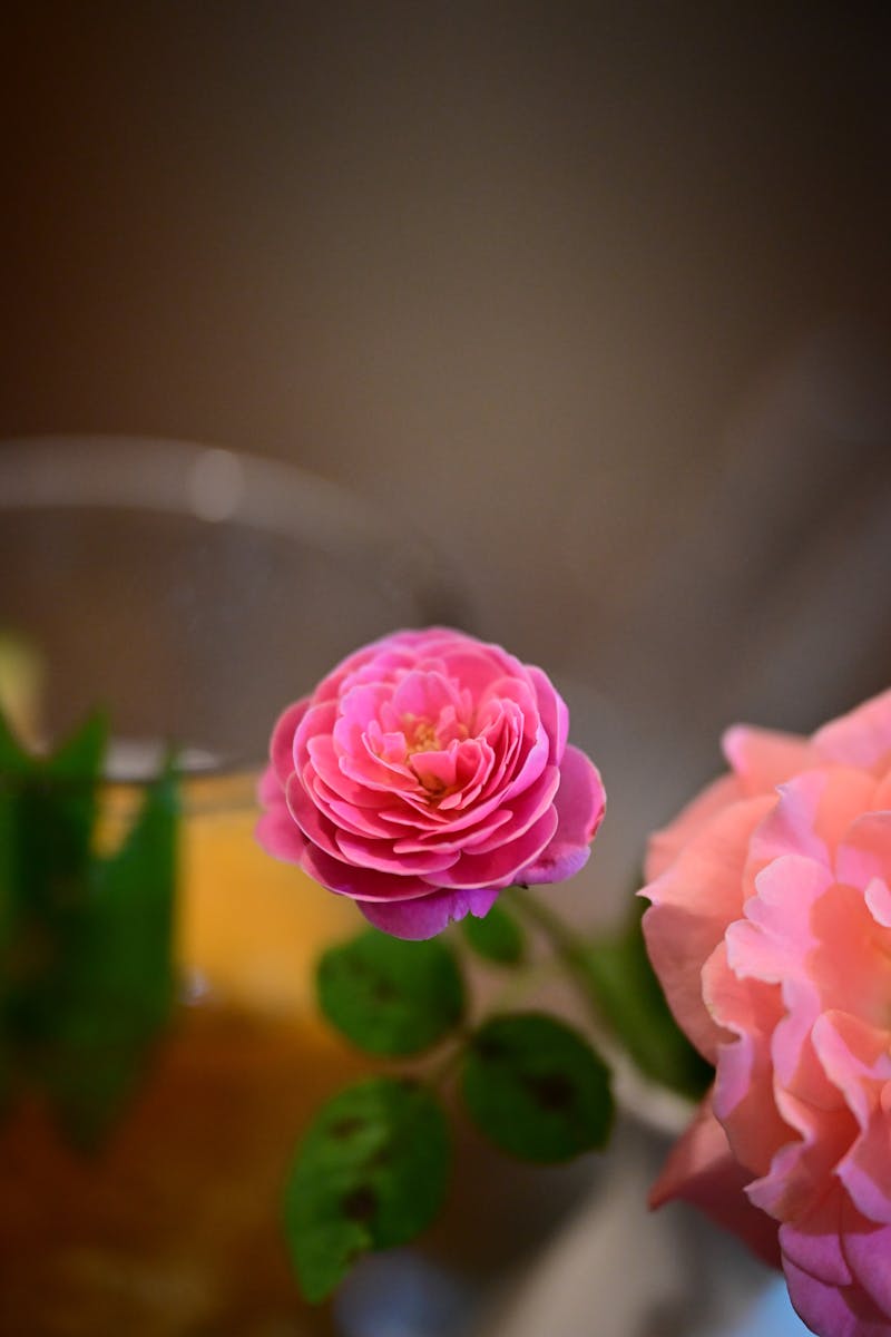 Loopy Background Photos, Download The BEST Free Loopy Background Stock ...