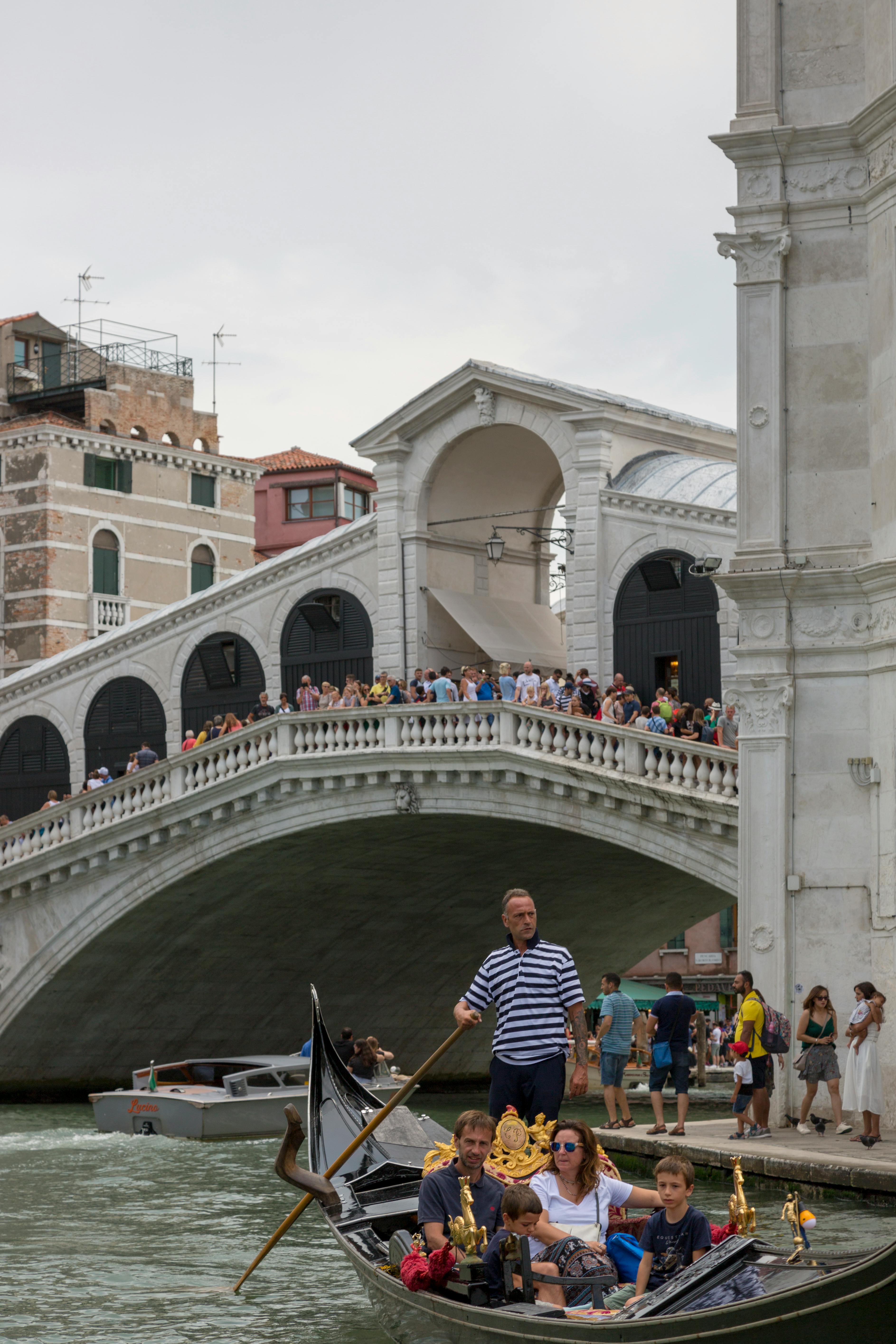 Famous People Photos, Download The BEST Free Famous People Stock Photos ...