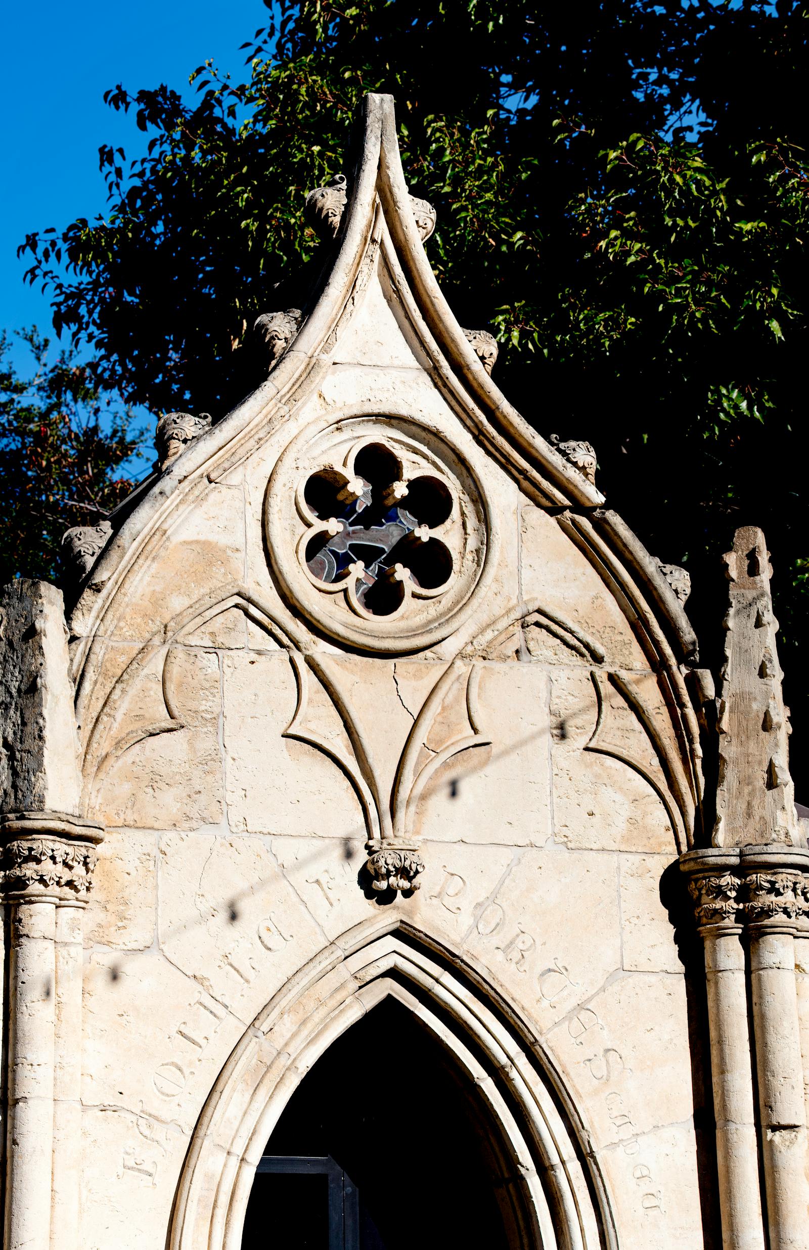 Goth Photos, Download The BEST Free Goth Stock Photos & HD Images