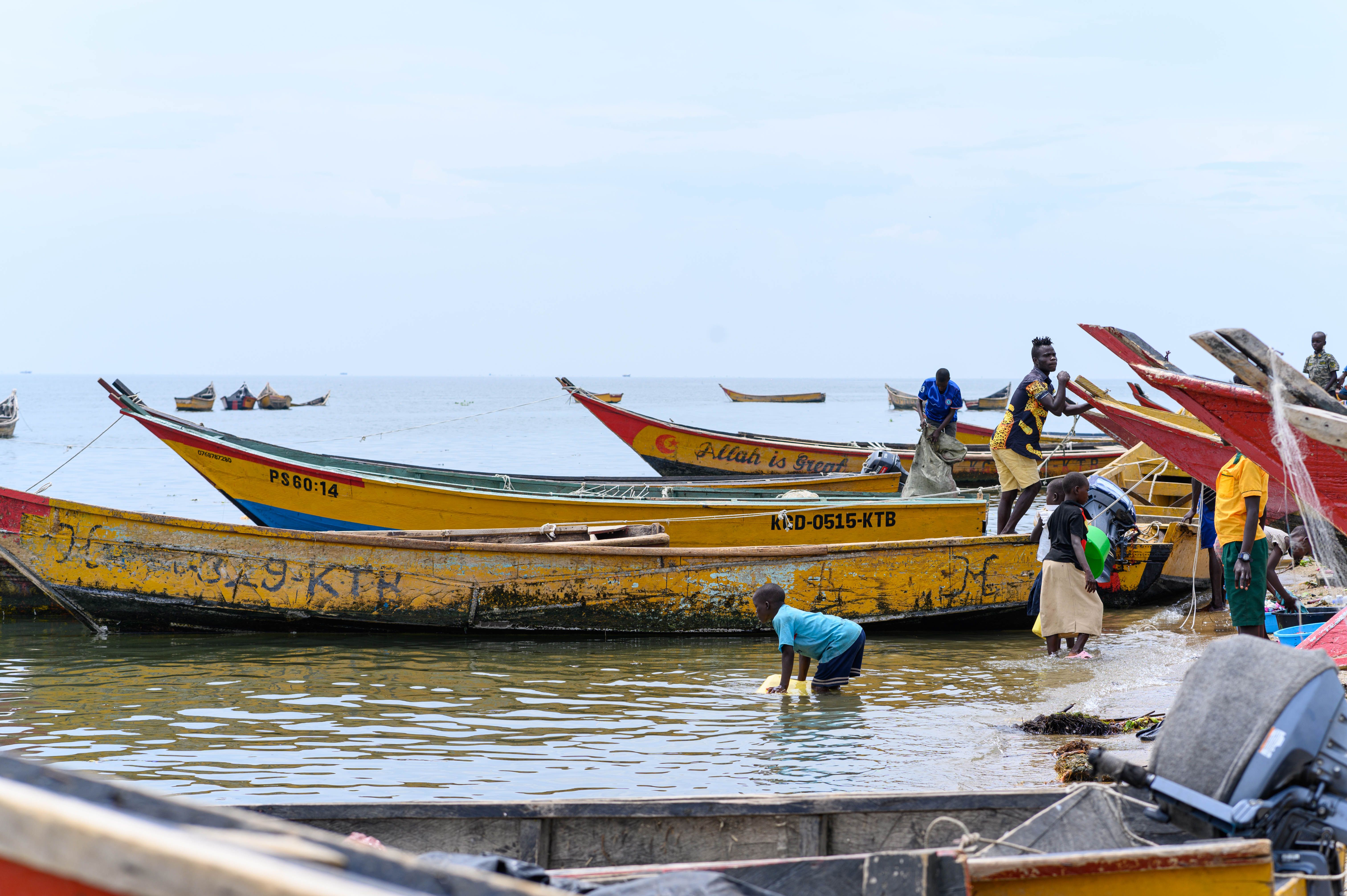 African Scenery Photos, Download The BEST Free African Scenery Stock ...