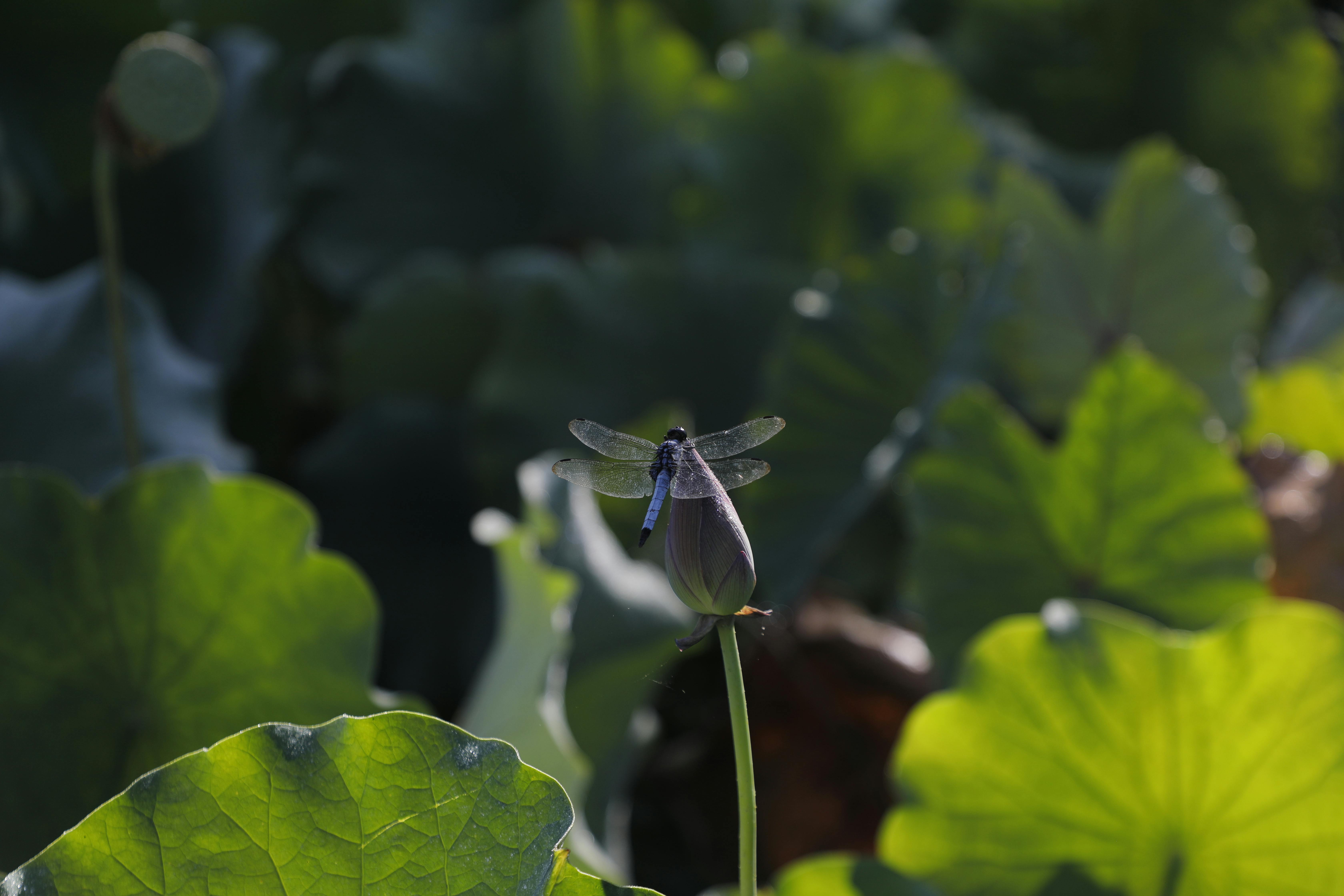 4k Pfp Photos, Download The BEST Free 4k Pfp Stock Photos & HD Images