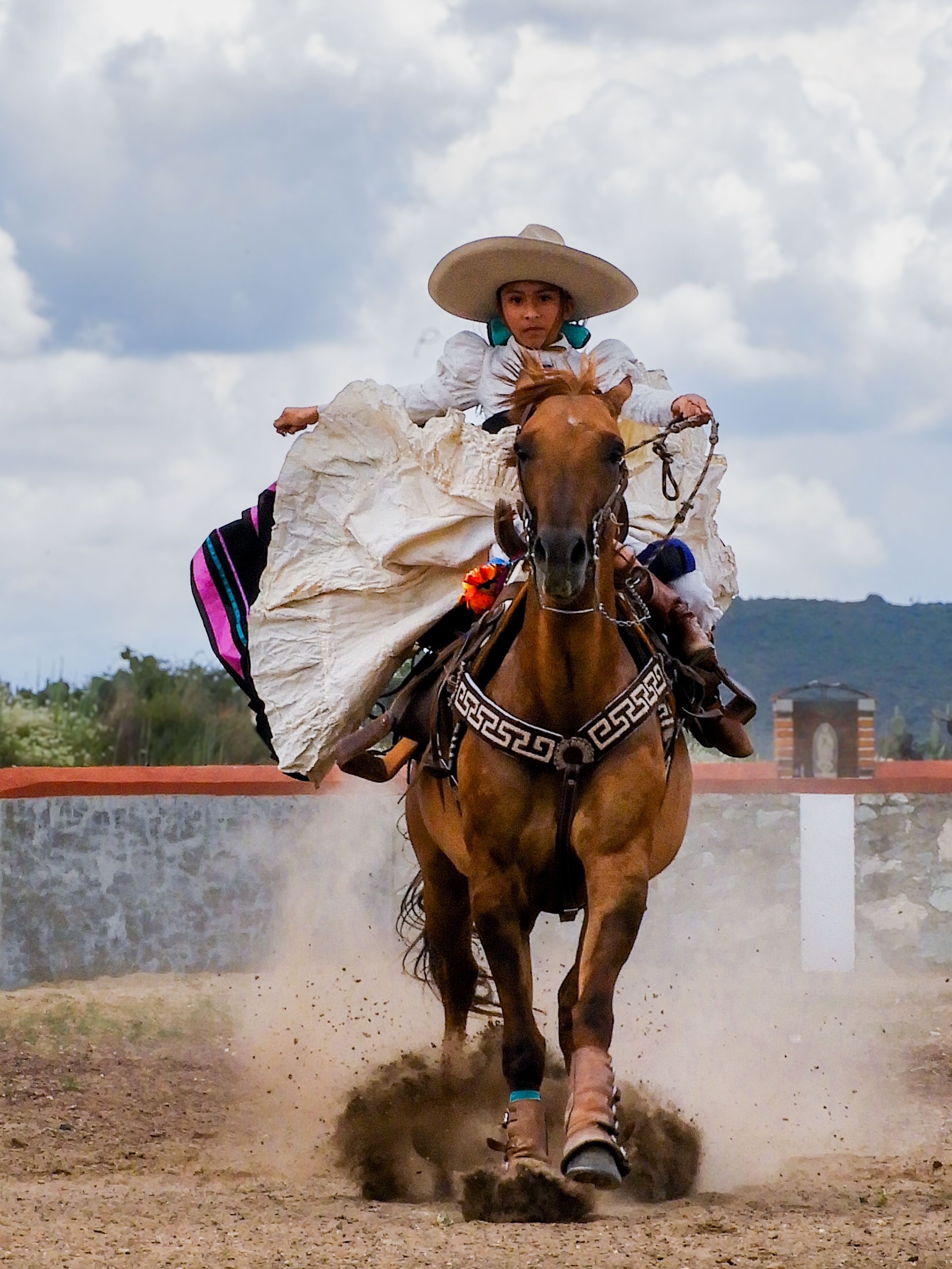 Mexican Charro Performing Equestrian Stunt · Free Stock Photo