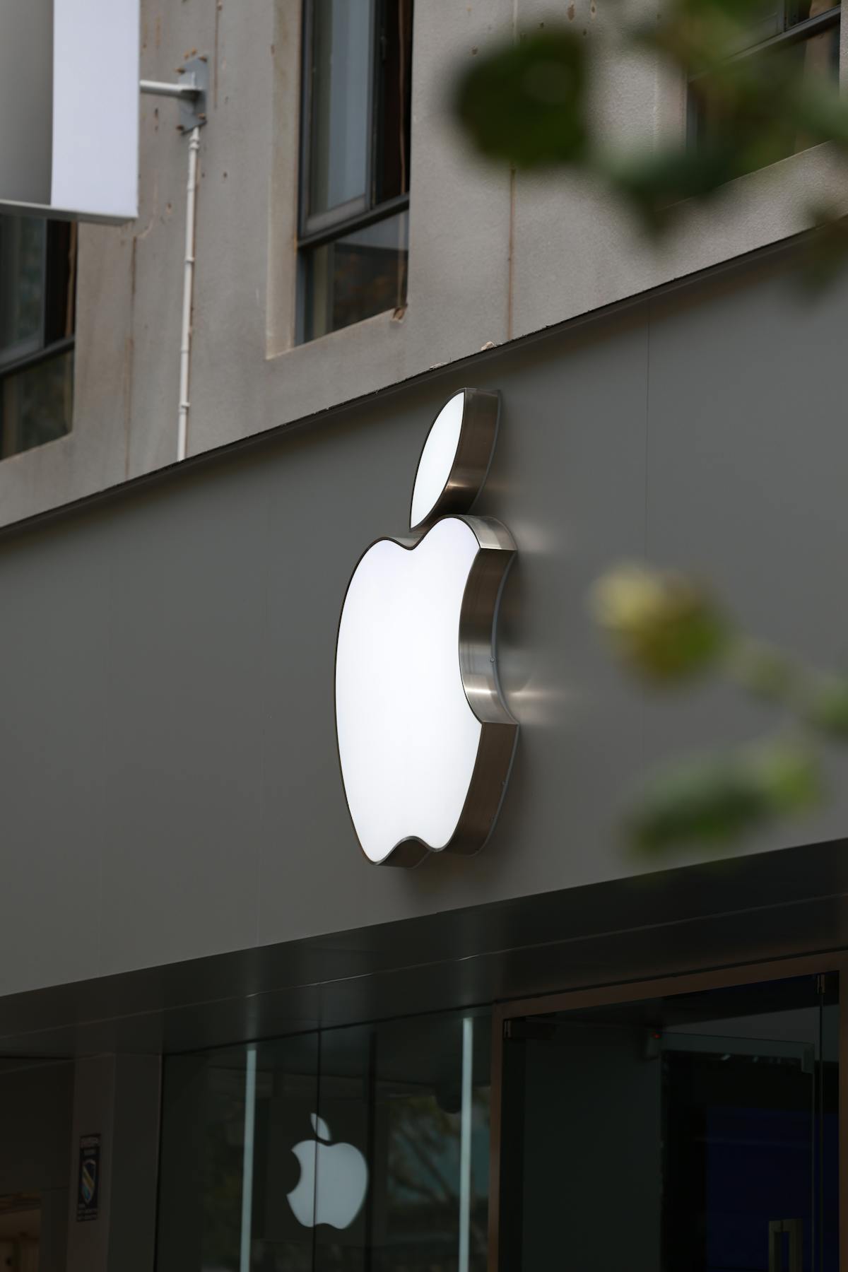 Apple Store Photos, Download The BEST Free Apple Store Stock Photos ...