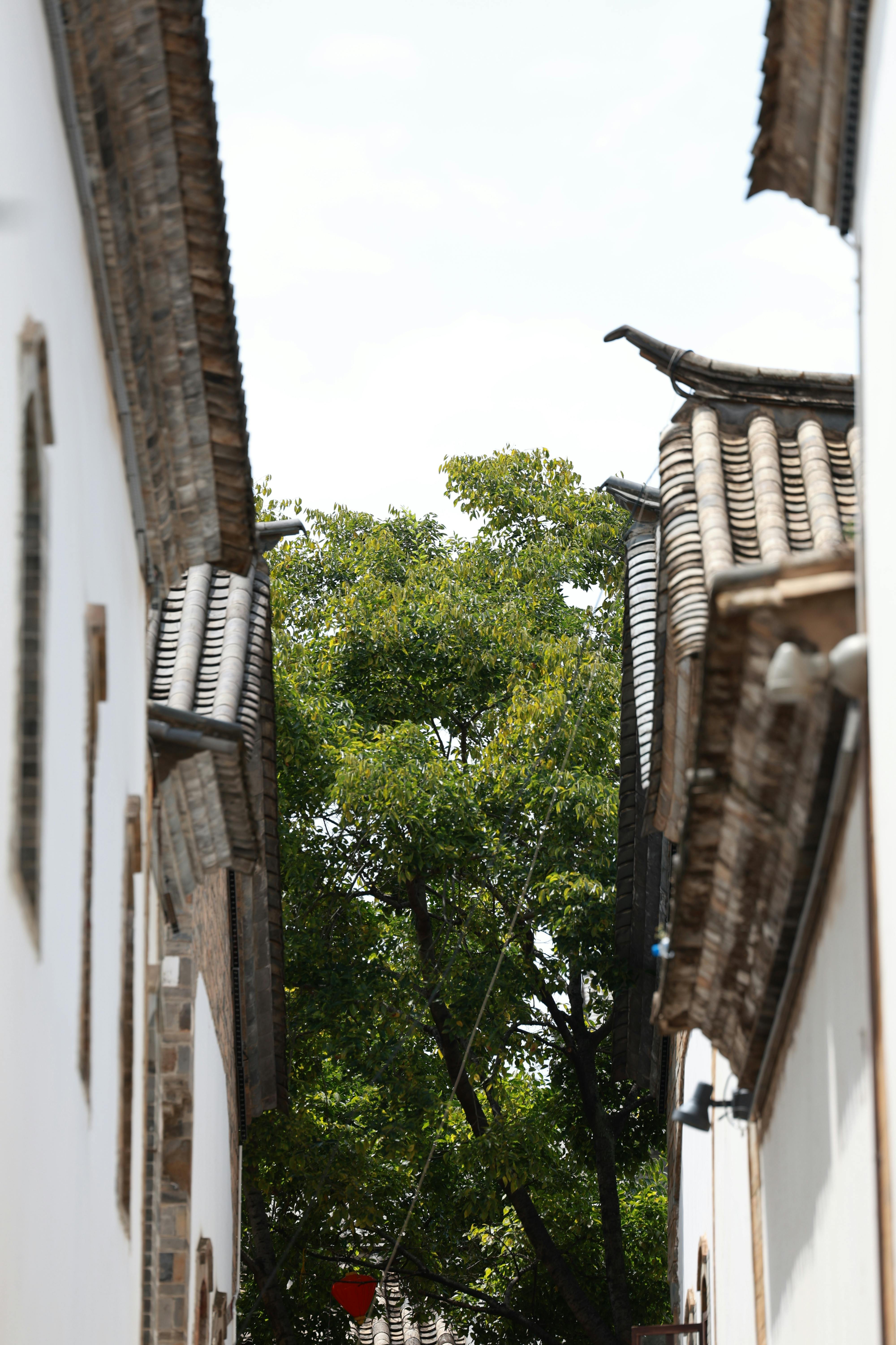 Traditional Chinese Architecture Alleyway · Free Stock Photo