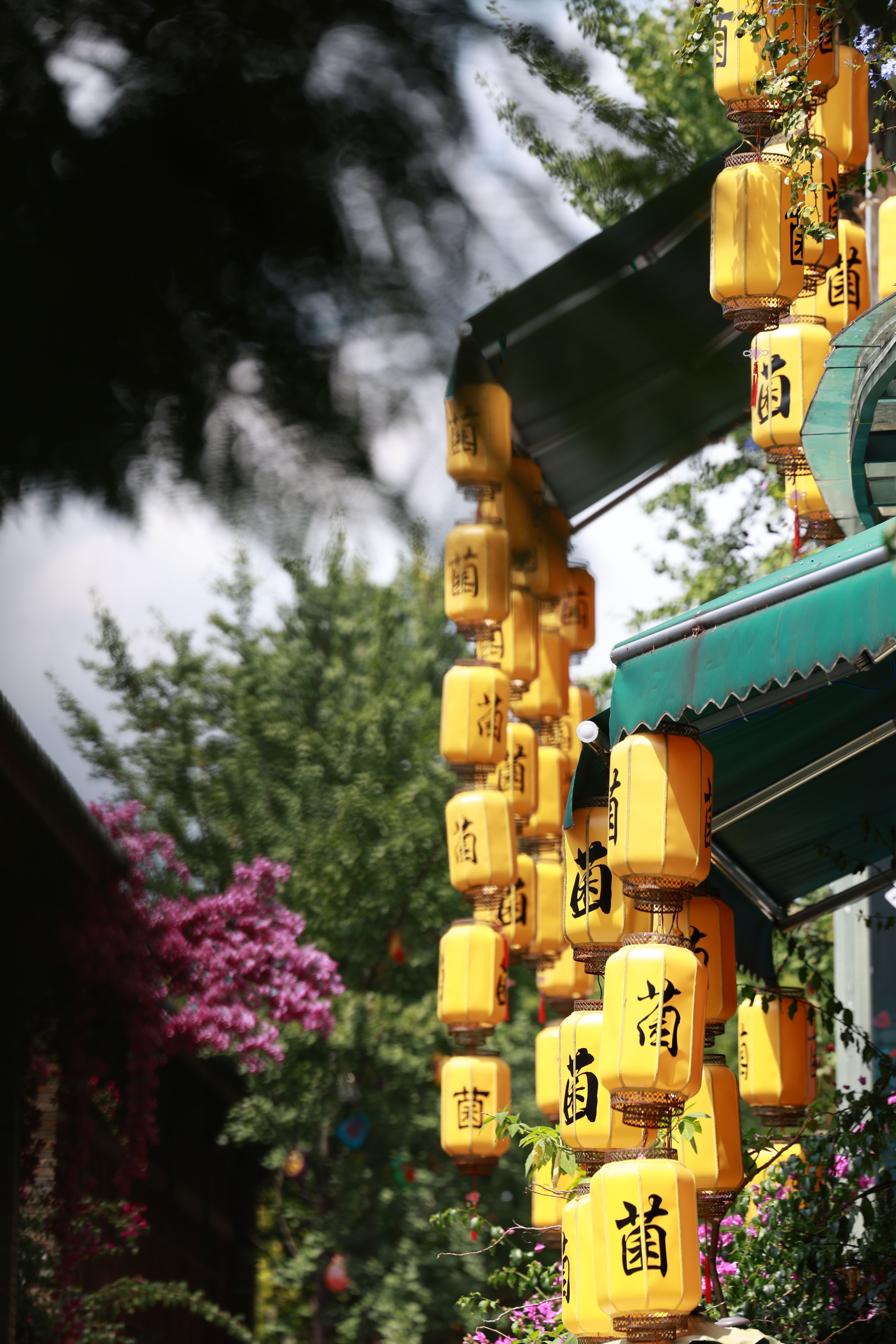 Vibrant Yellow Lanterns in a Traditional Setting · Free Stock Photo