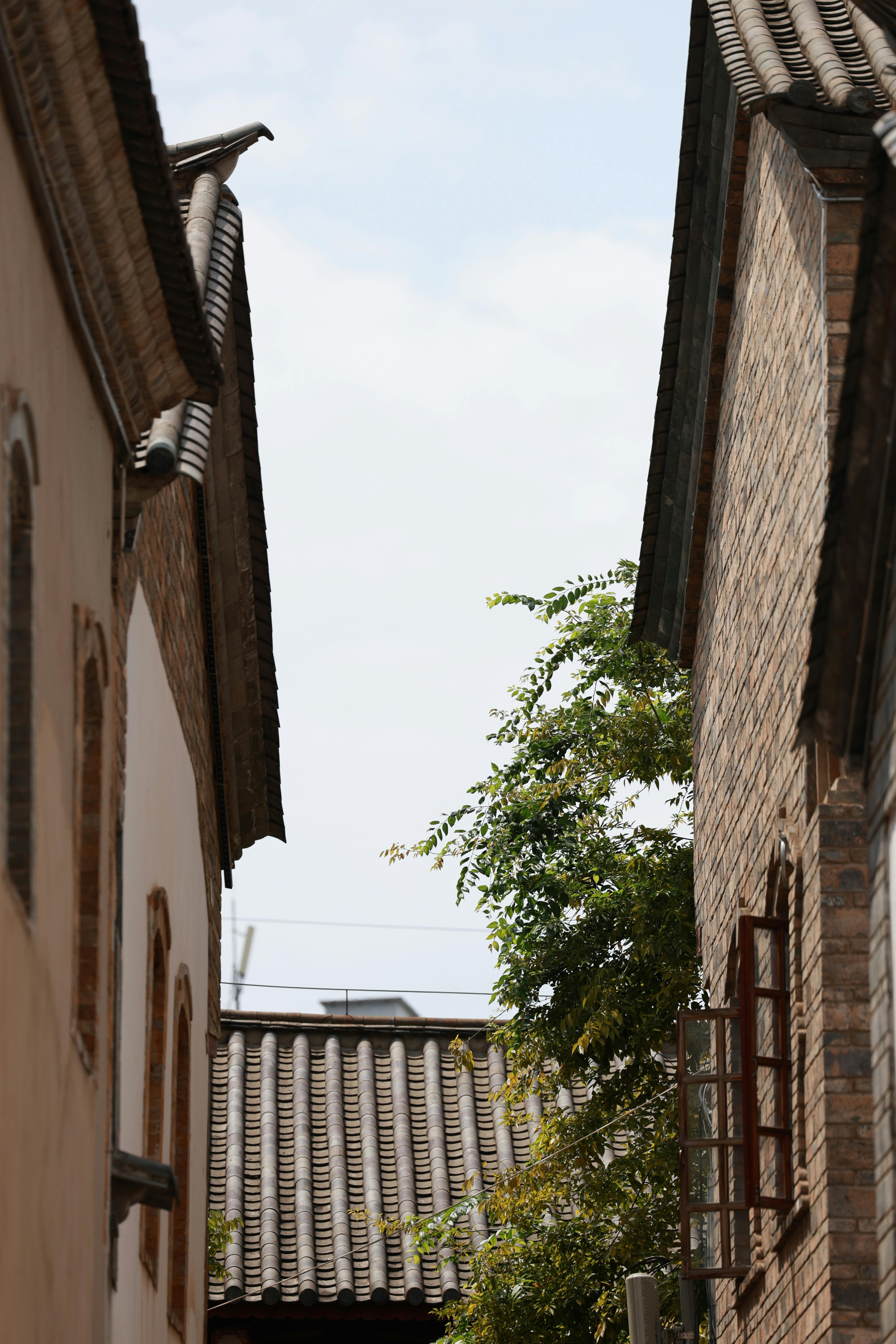 Traditional Chinese Architecture Alleyway Scene · Free Stock Photo