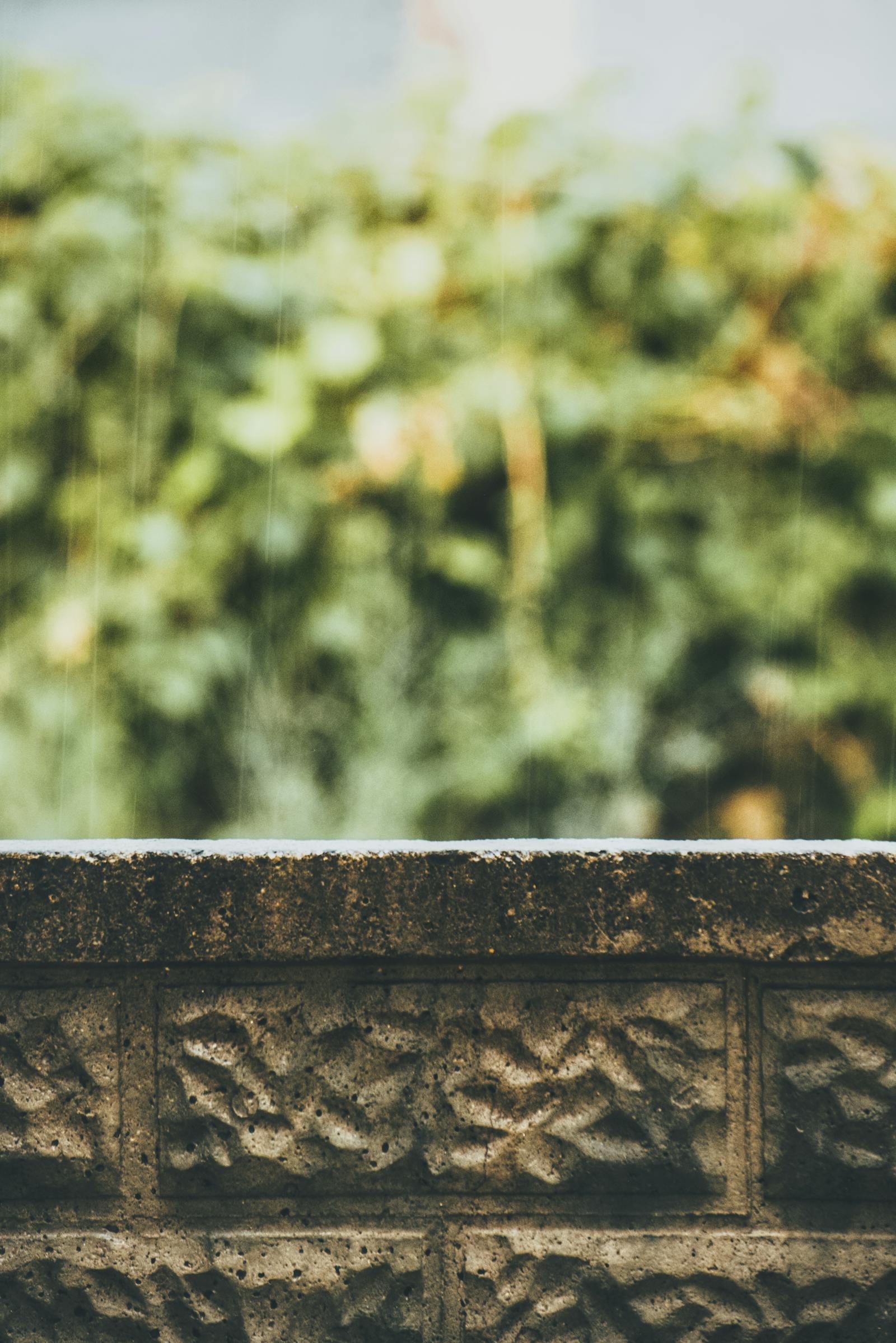 Wall Design Photos, Download The BEST Free Wall Design Stock Photos ...