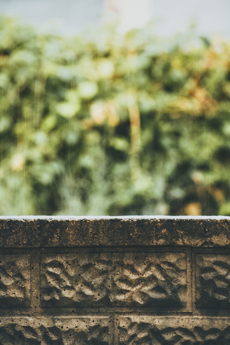 Wall Design Photos, Download The BEST Free Wall Design Stock Photos ...