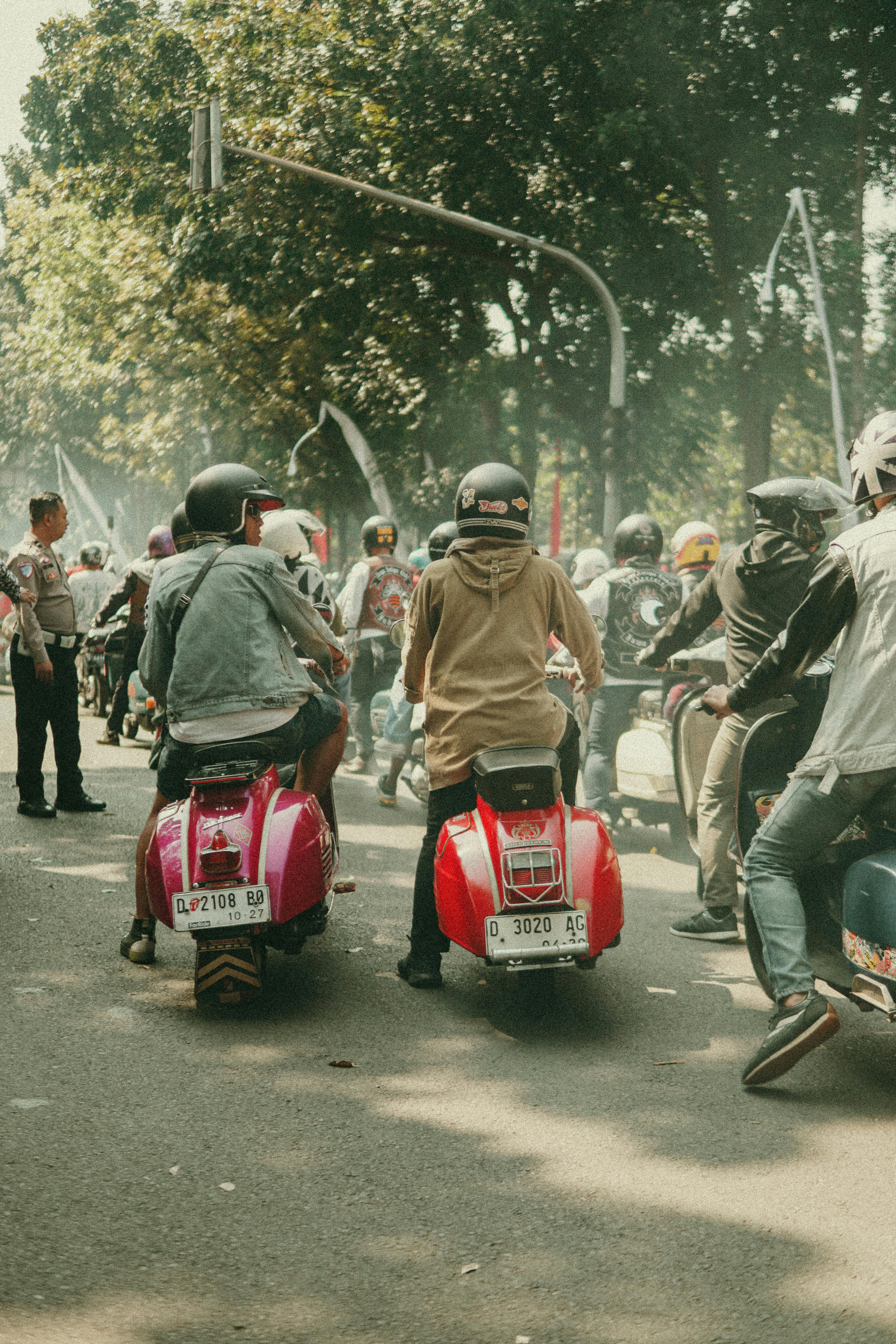 Java Photos, Download The BEST Free Java Stock Photos & HD Images