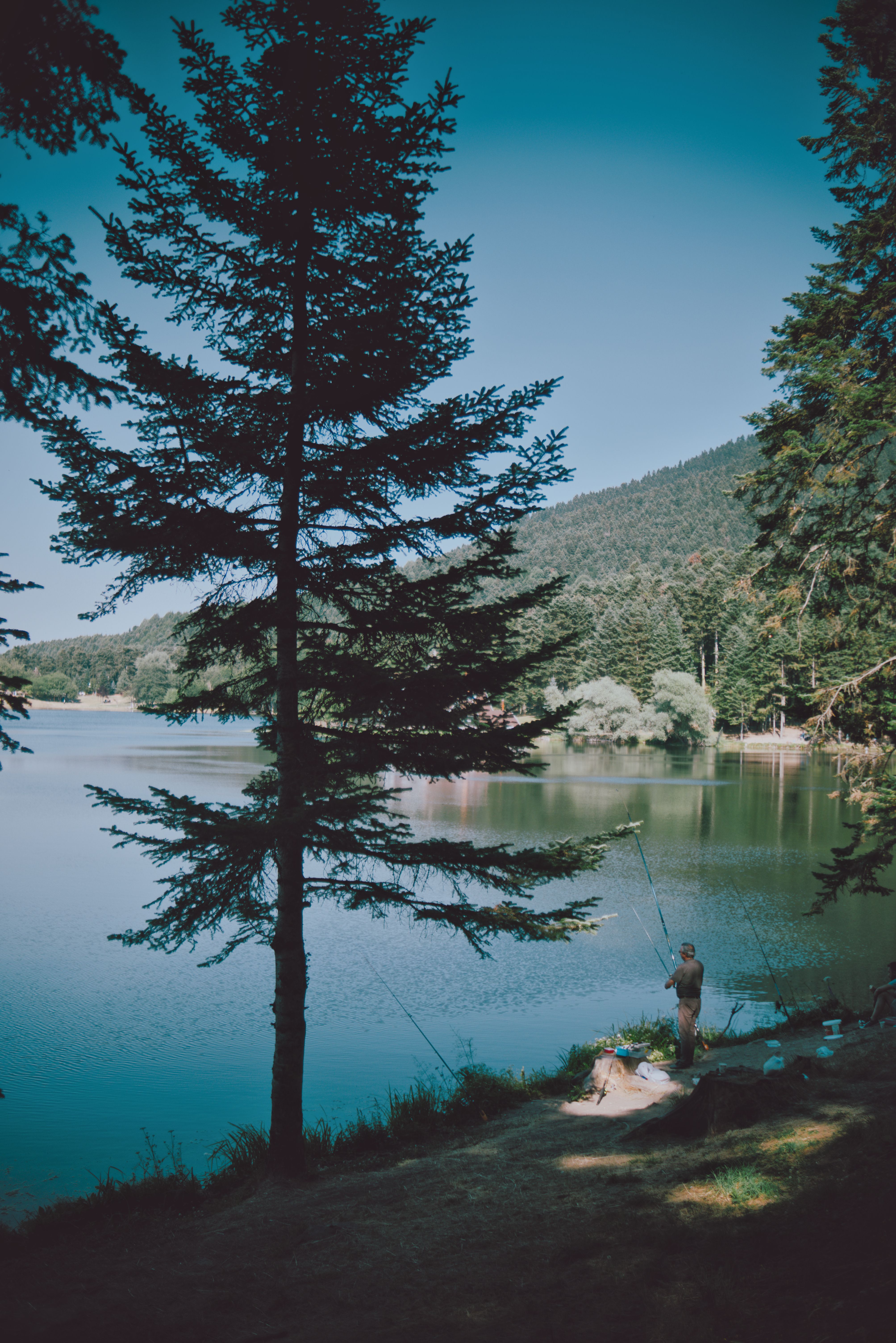 Rod Photos, Download The BEST Free Rod Stock Photos & HD Images