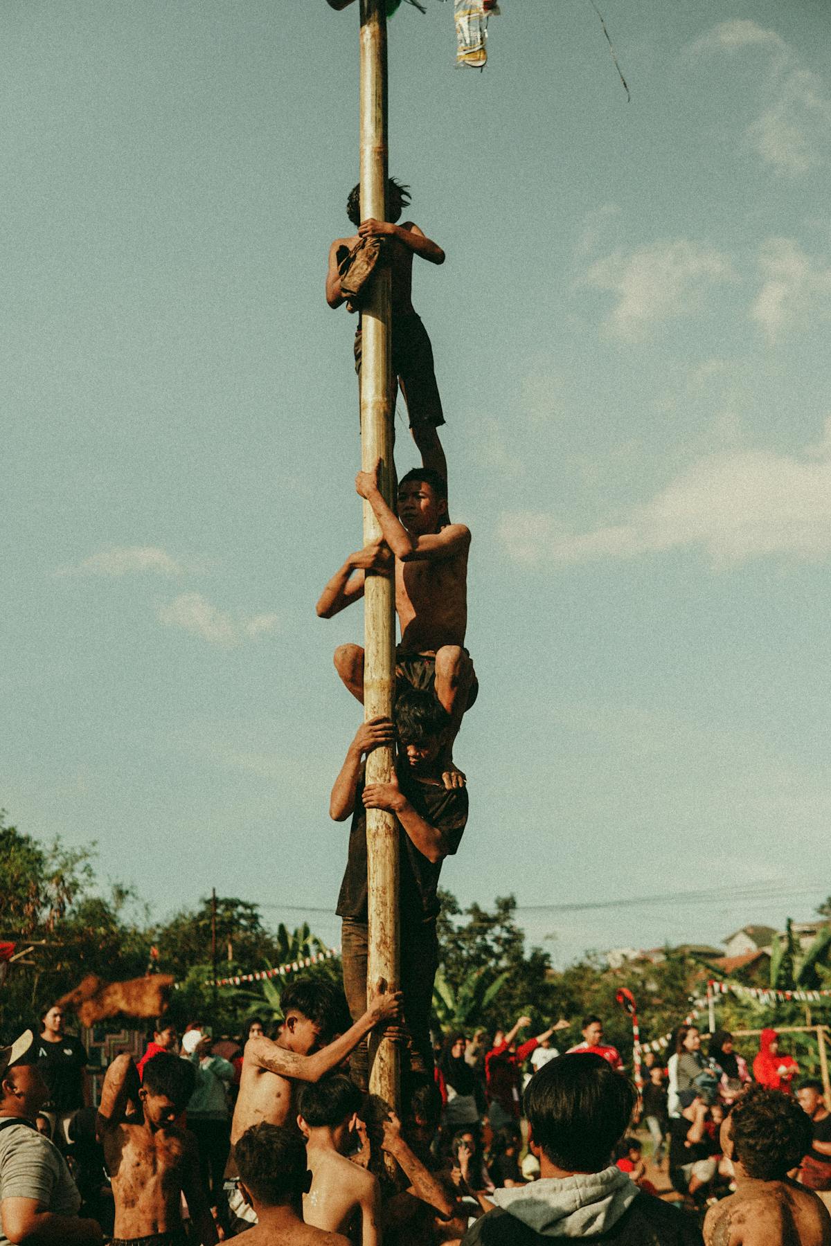 Java Photos, Download The BEST Free Java Stock Photos & HD Images