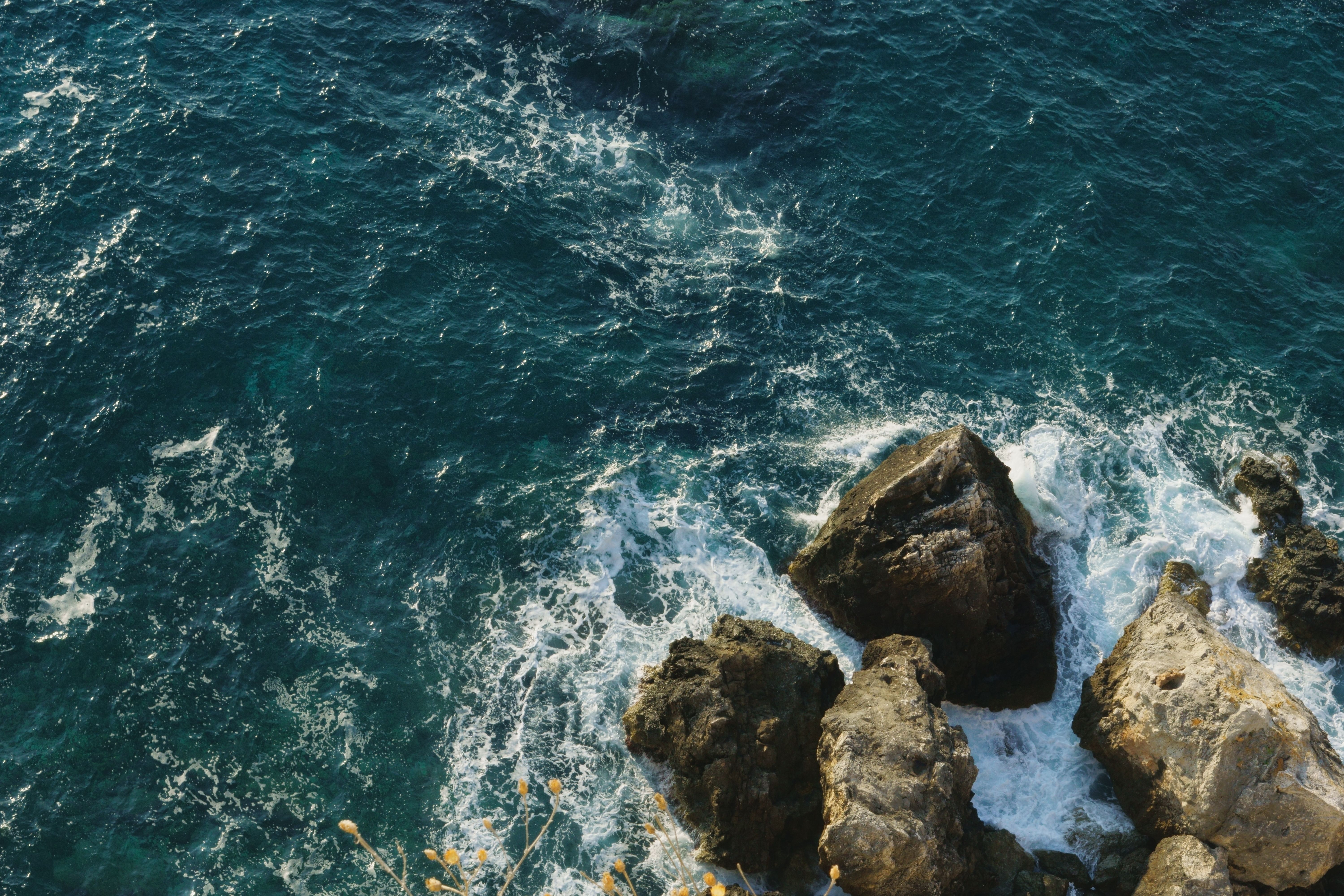 Top View of Body of Water · Free Stock Photo