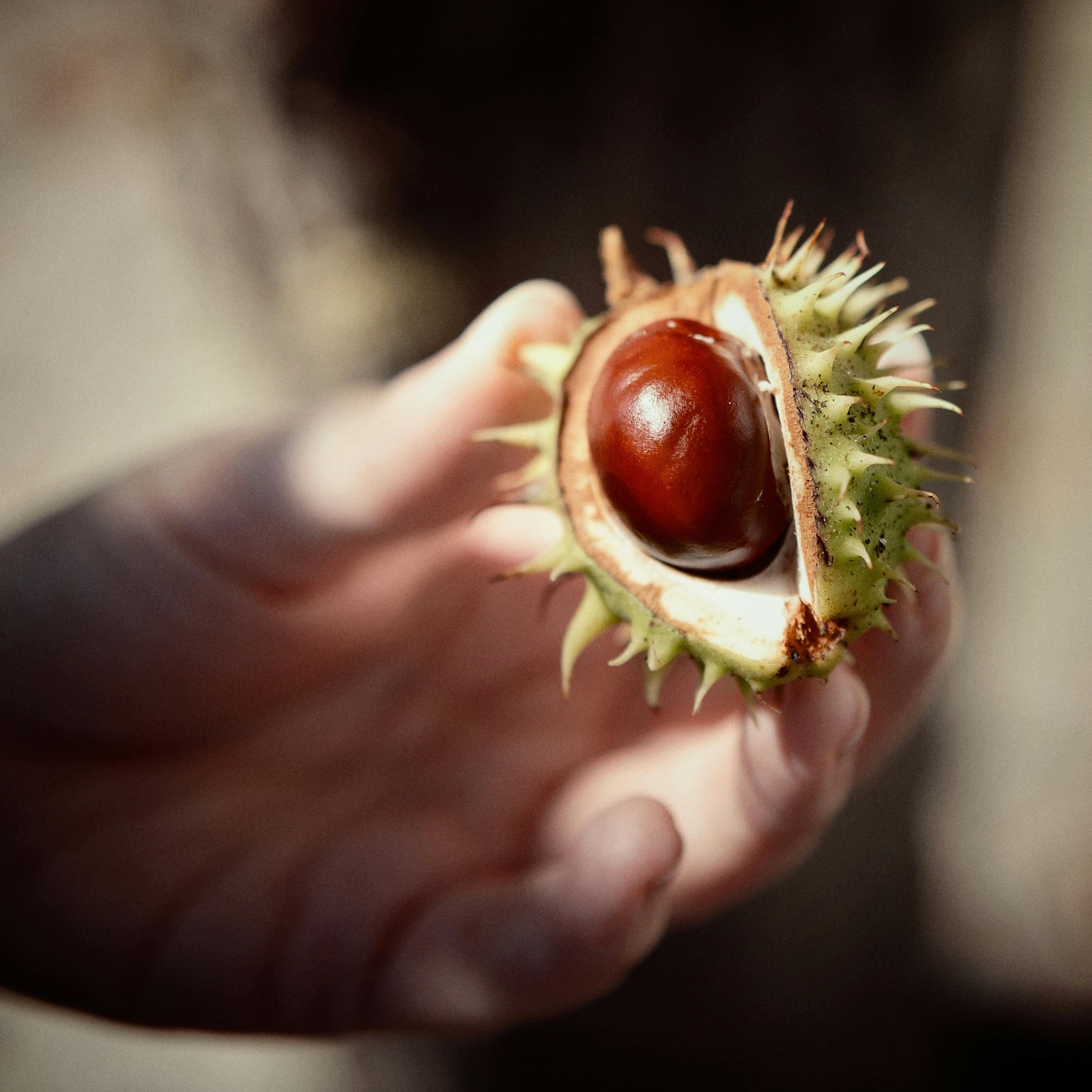 November Fall Photos, Download The BEST Free November Fall Stock Photos ...