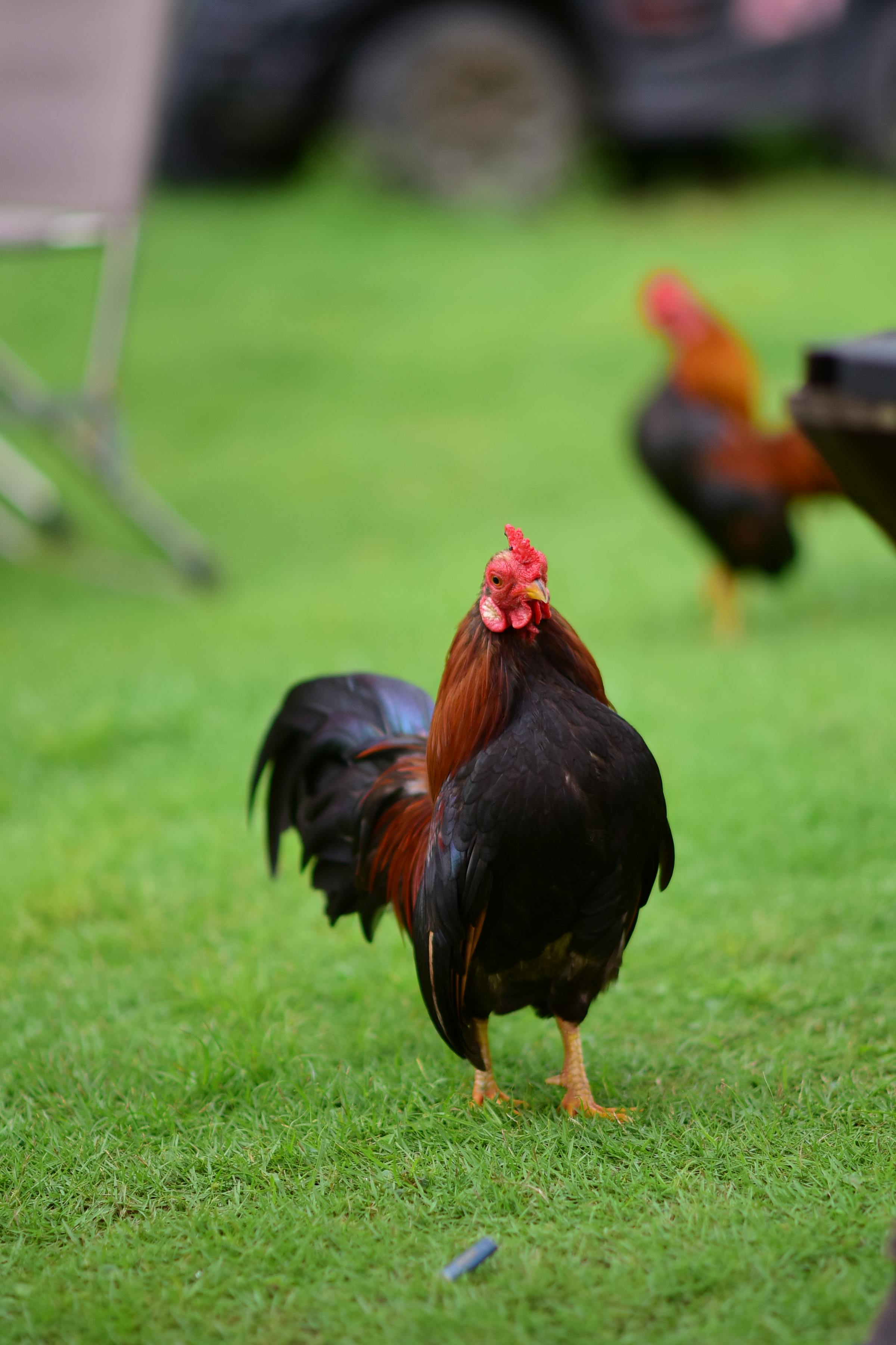 30 000+ Mature+collant banque d’images et photos libres de droit ...