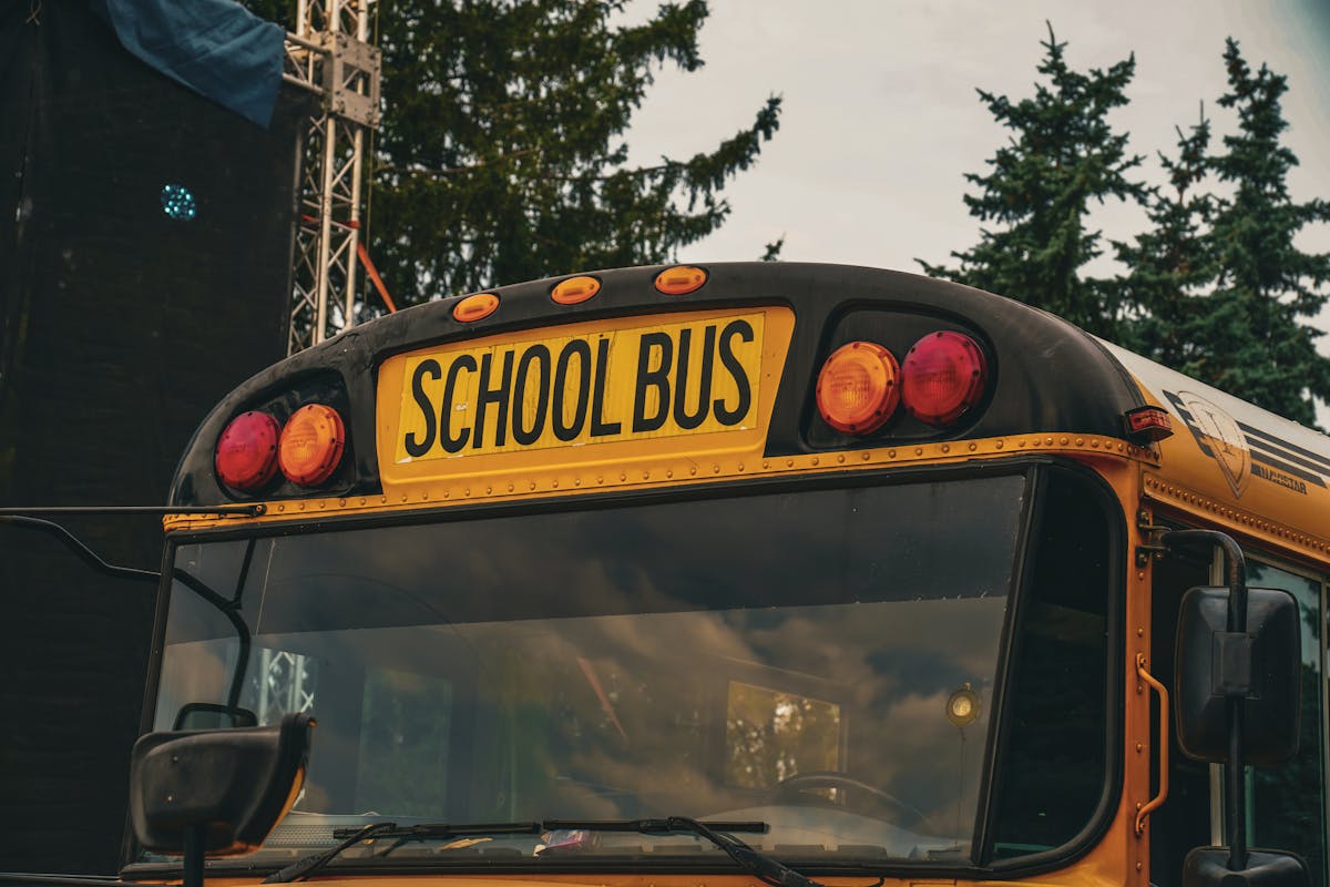 School Bus Photos, Download The BEST Free School Bus Stock Photos & HD ...