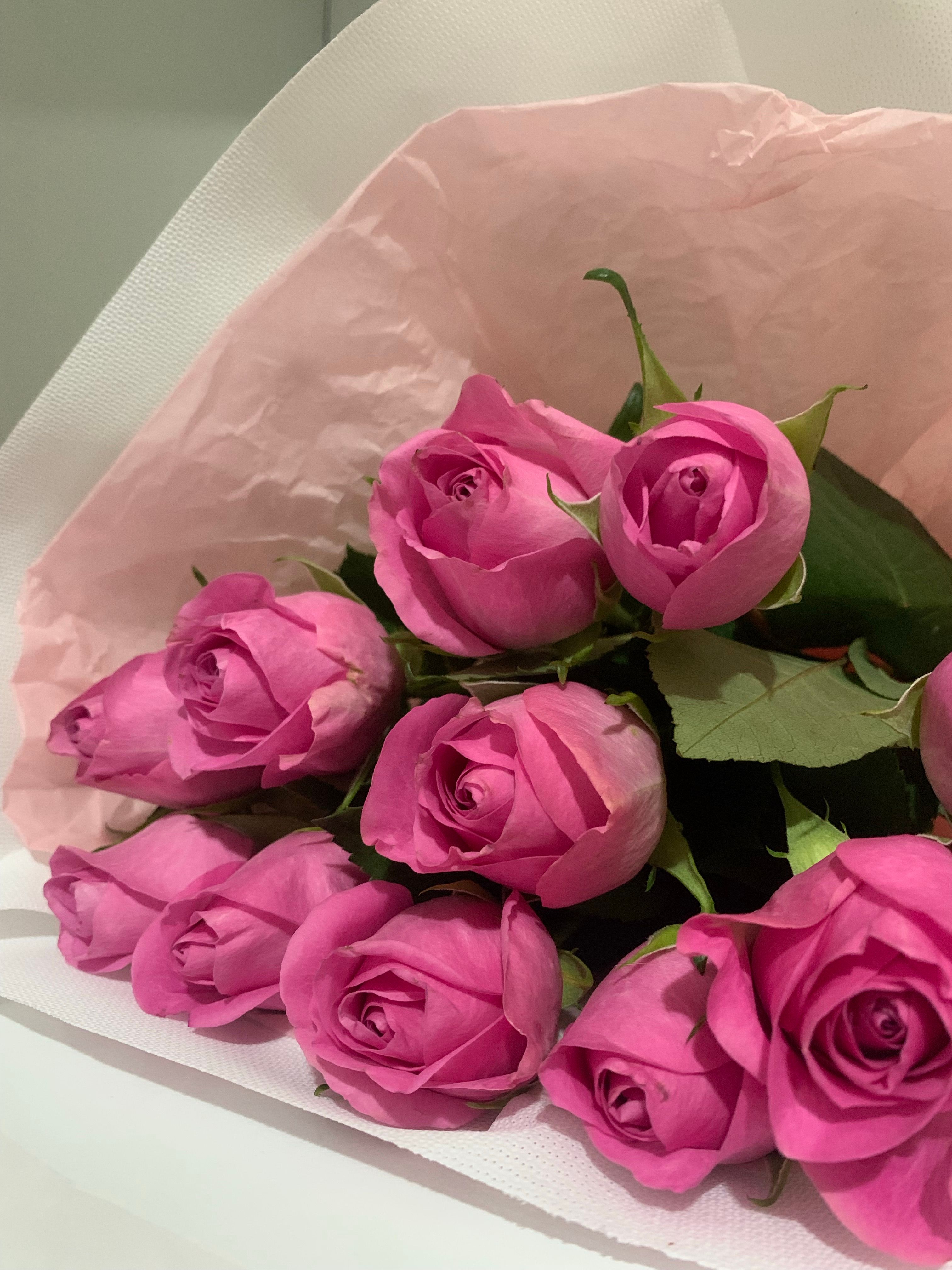 Rose Aesthetic Photos, Download The BEST Free Rose Aesthetic Stock ...