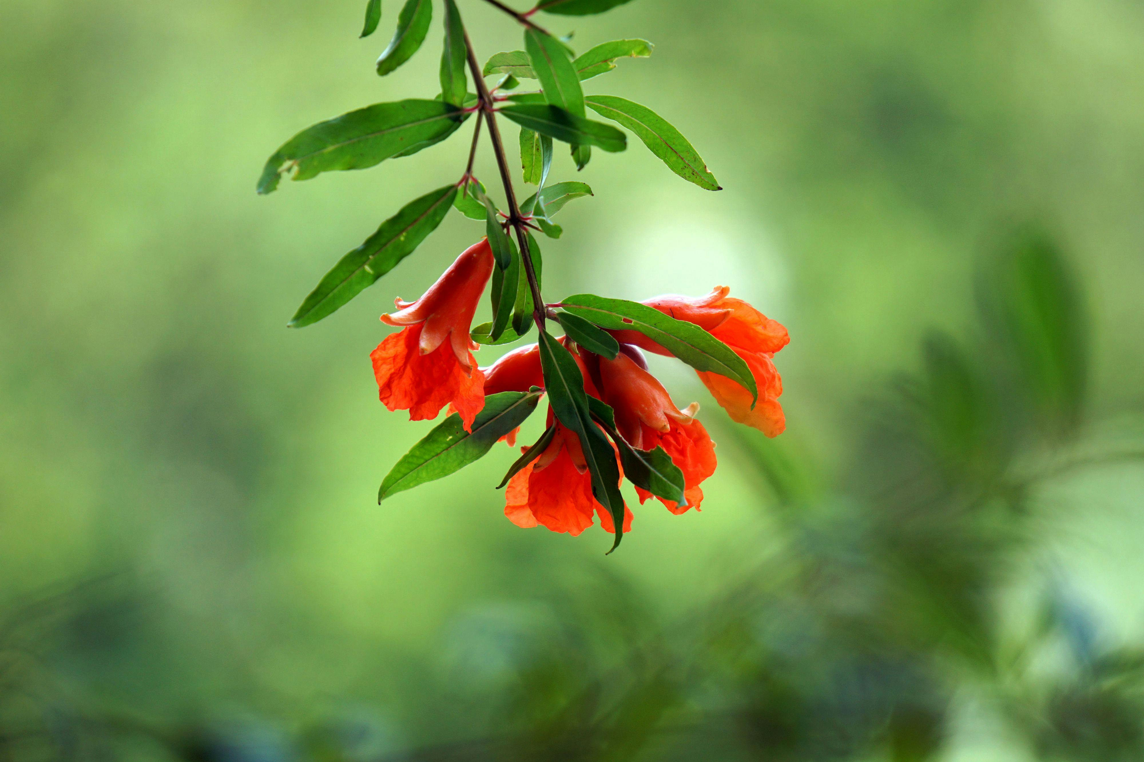 Background Without Blur Photos, Download The BEST Free Background ...