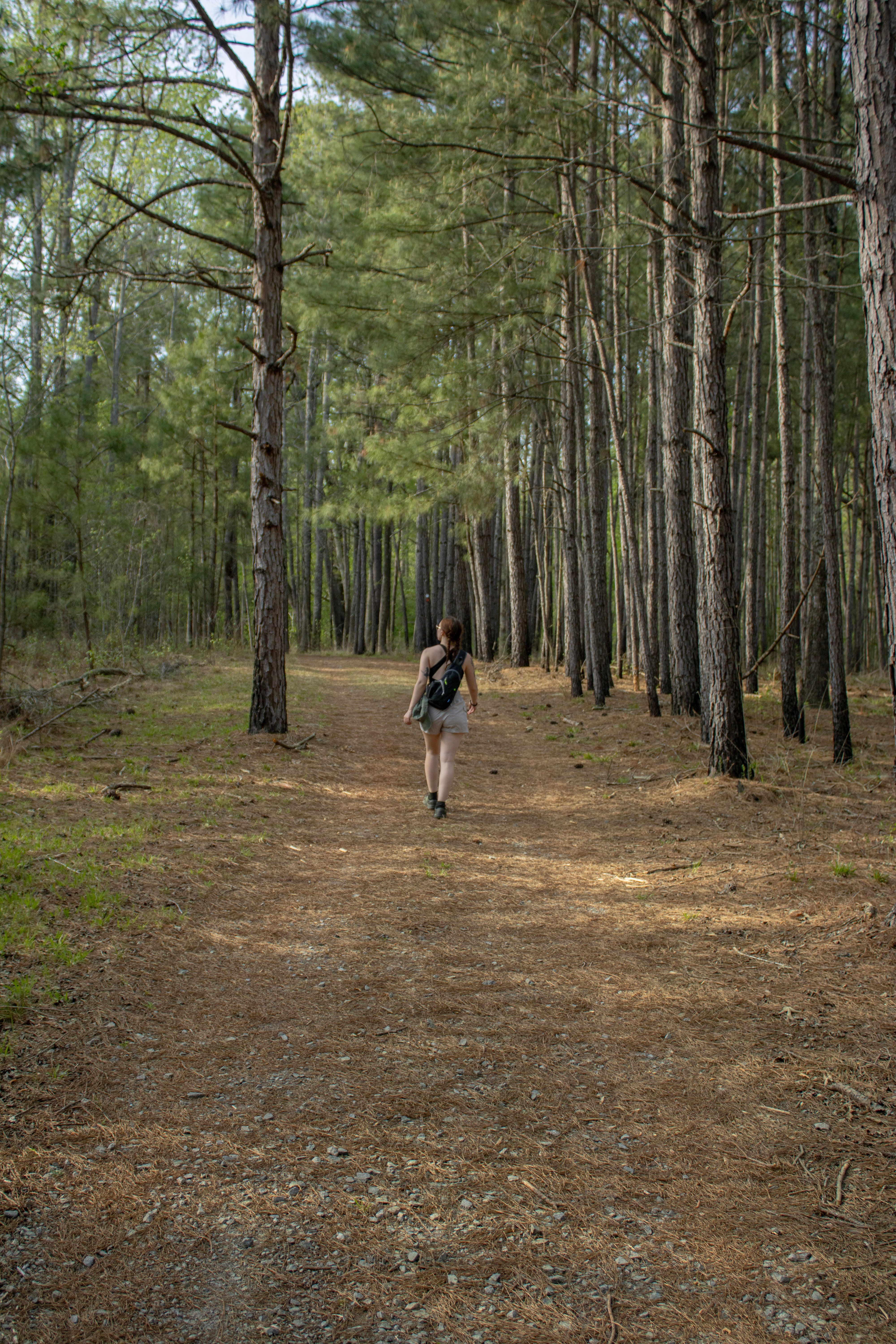 Single Person Photos, Download The BEST Free Single Person Stock Photos ...