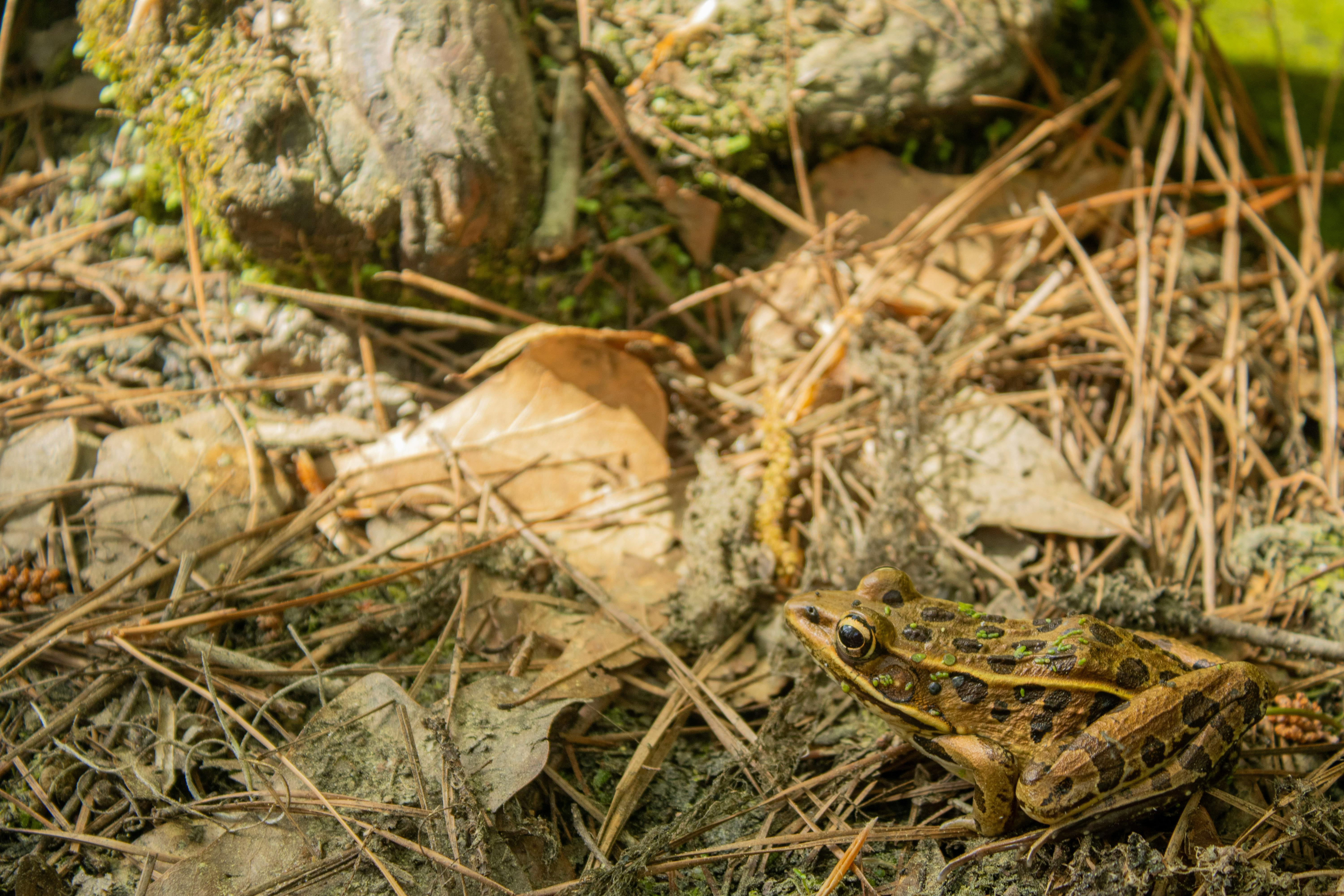 Danielle+Moss+Wallpaper Photos, Download The BEST Free Danielle+Moss ...