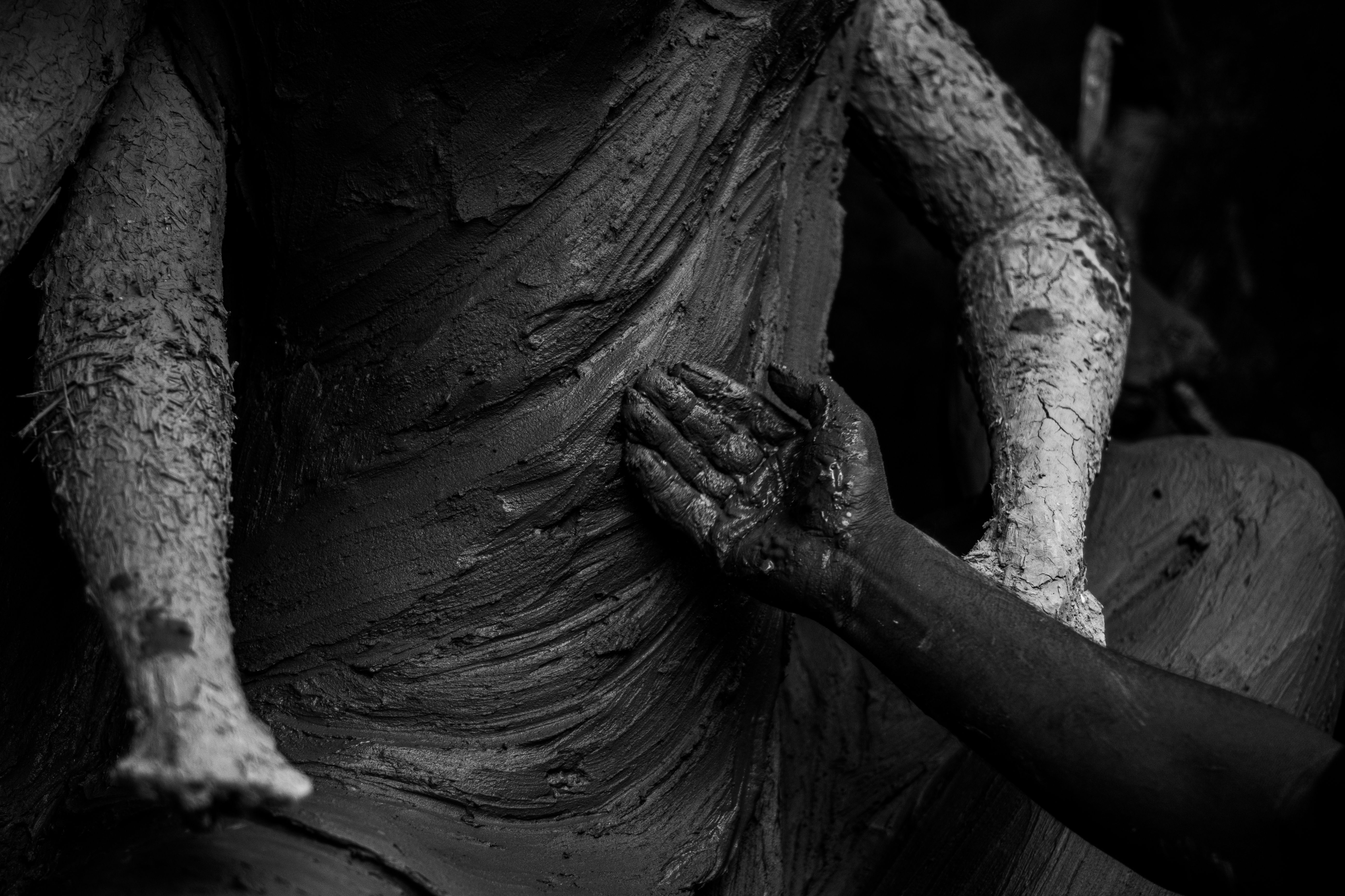 Black And White Cricket Photos, Download The BEST Free Black And White ...