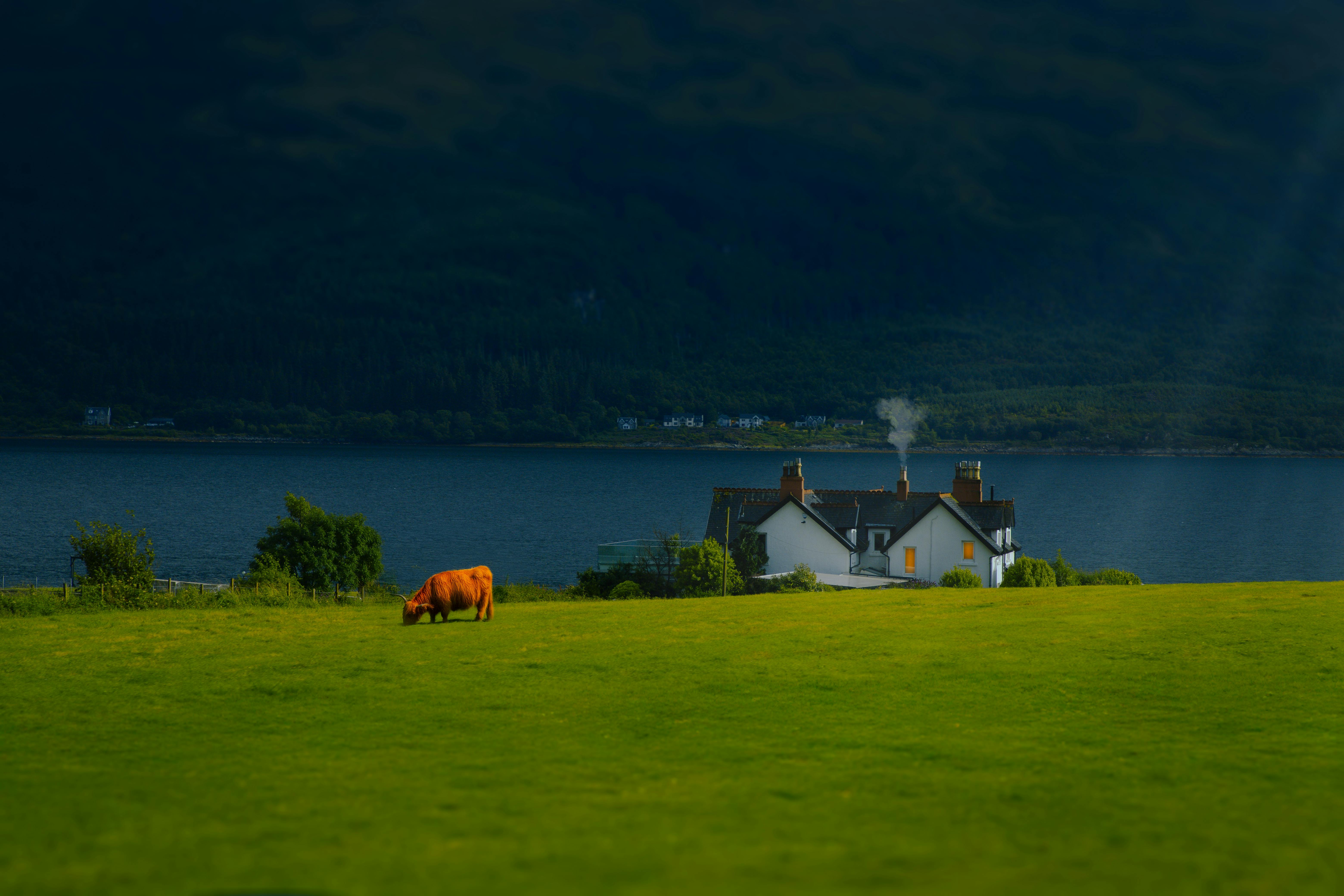 Scottish Highlands Photos, Download The BEST Free Scottish Highlands ...