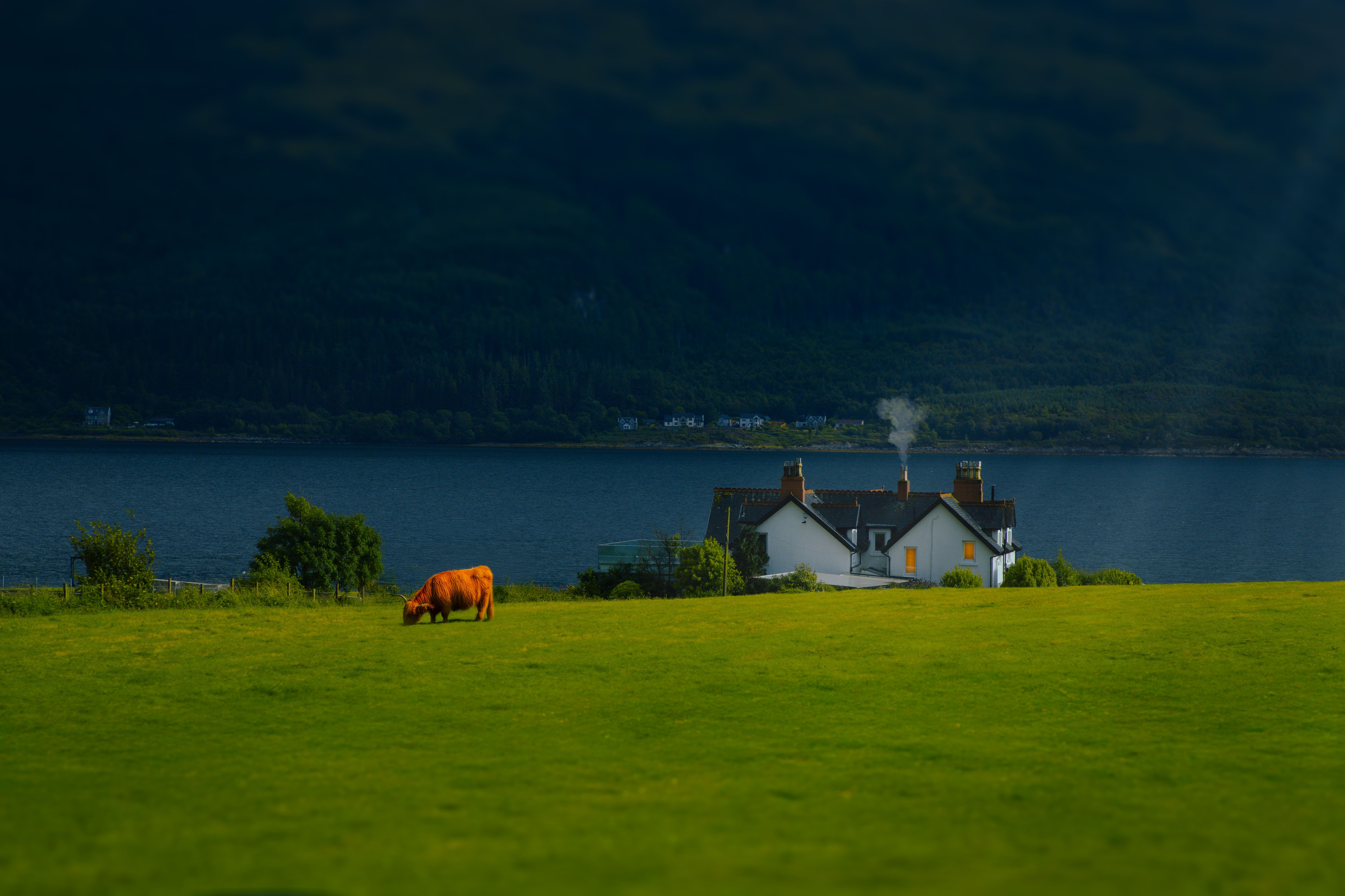 Charming Scottish Countryside Home by the Lake · Free Stock Photo