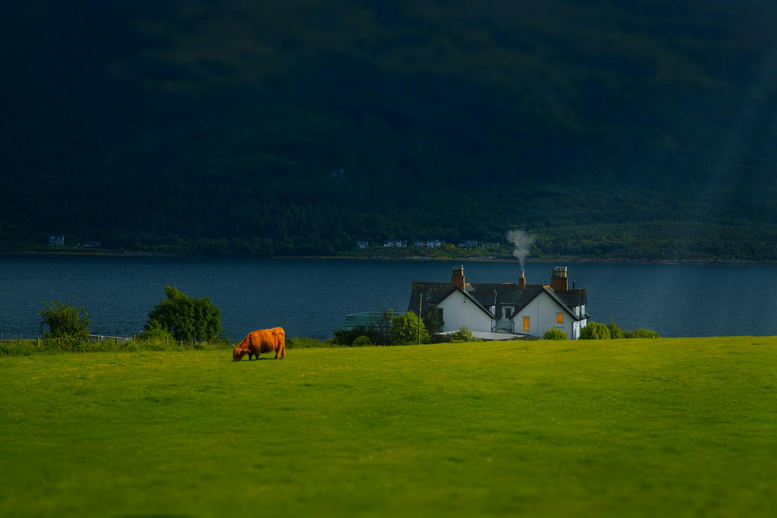 Scottish Highlands Photos, Download The BEST Free Scottish Highlands ...