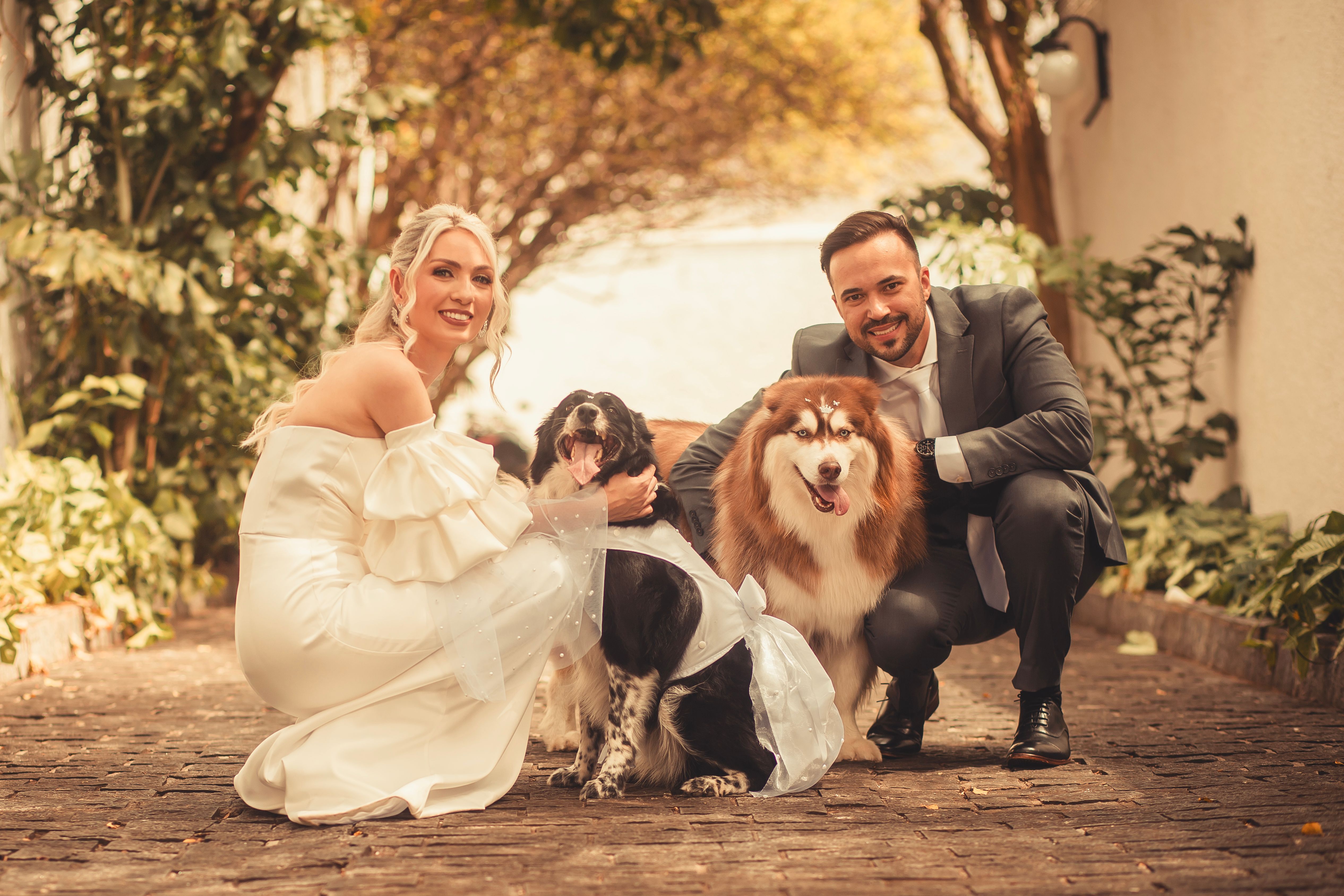 Joyful Wedding Couple Posing with Dogs Outdoors · Free Stock Photo