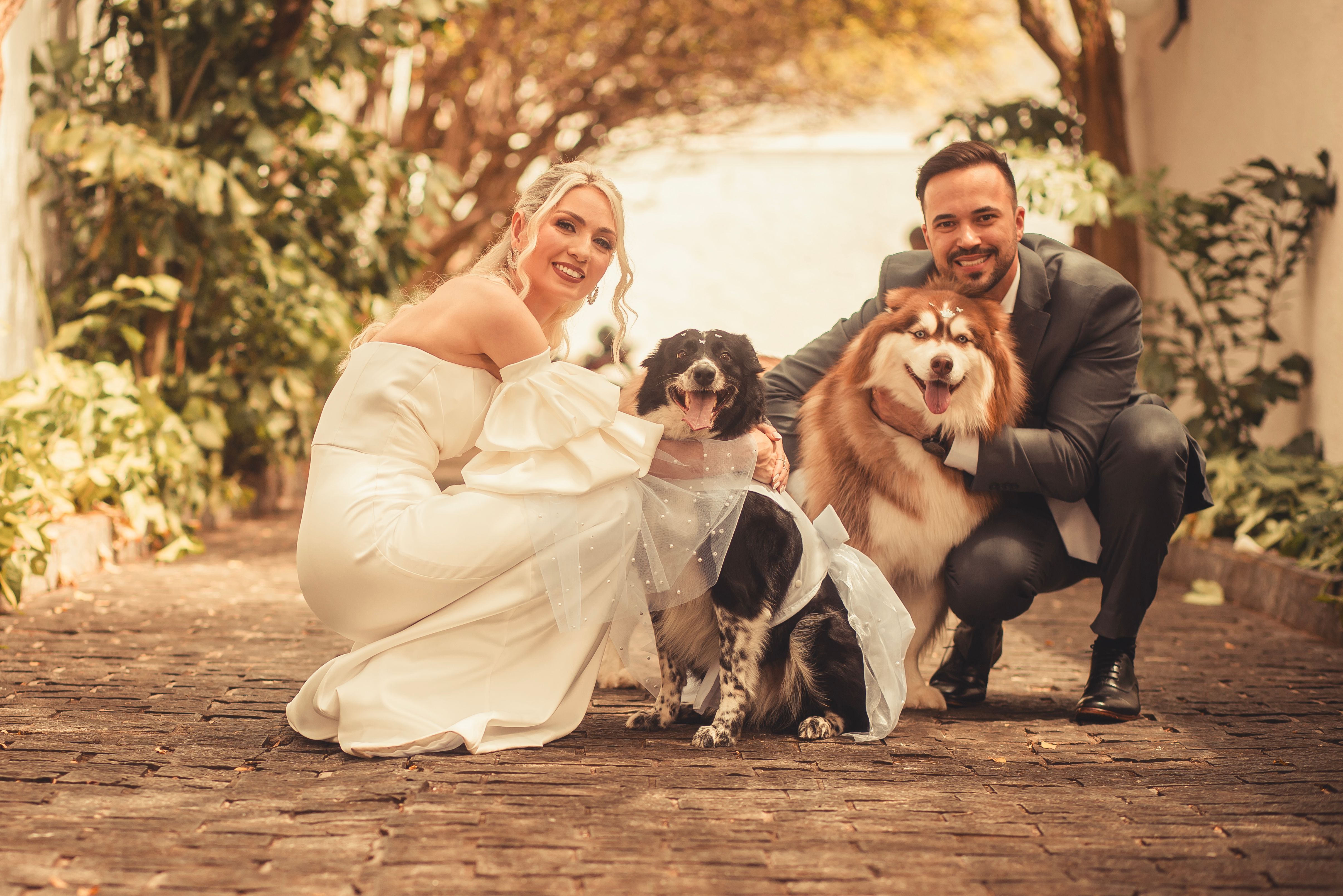 Dogs Pixel Photos, Download The BEST Free Dogs Pixel Stock Photos & HD ...