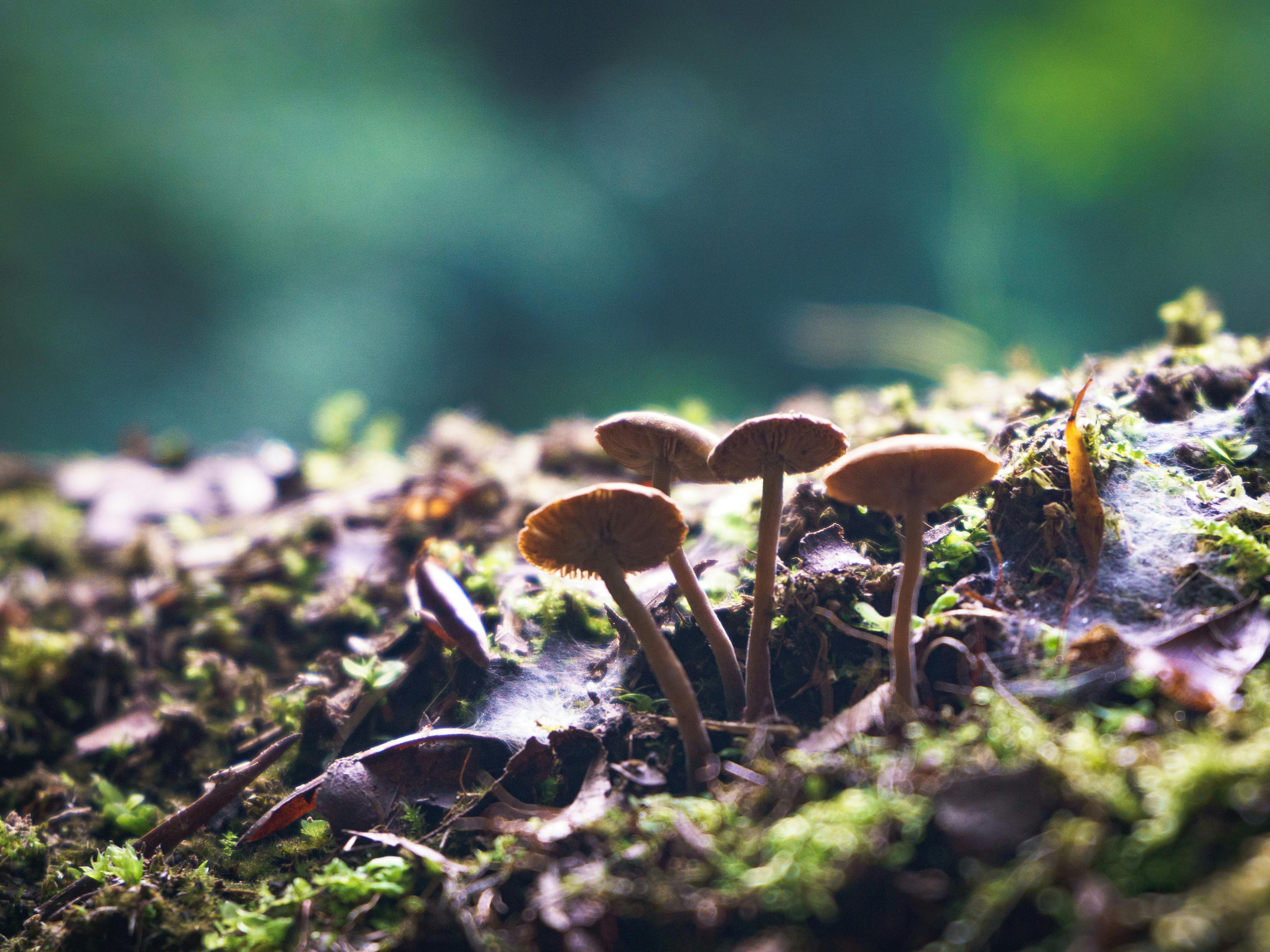 Danielle+Moss+Wallpaper Photos, Download The BEST Free Danielle+Moss ...