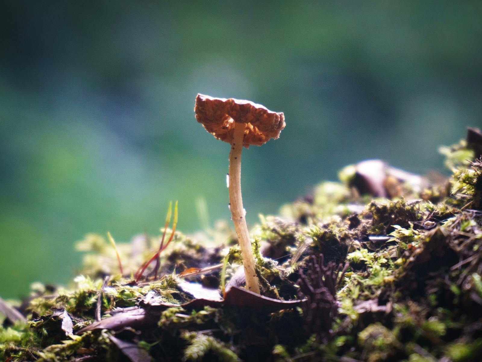 Danielle+Moss+Wallpaper Photos, Download The BEST Free Danielle+Moss ...