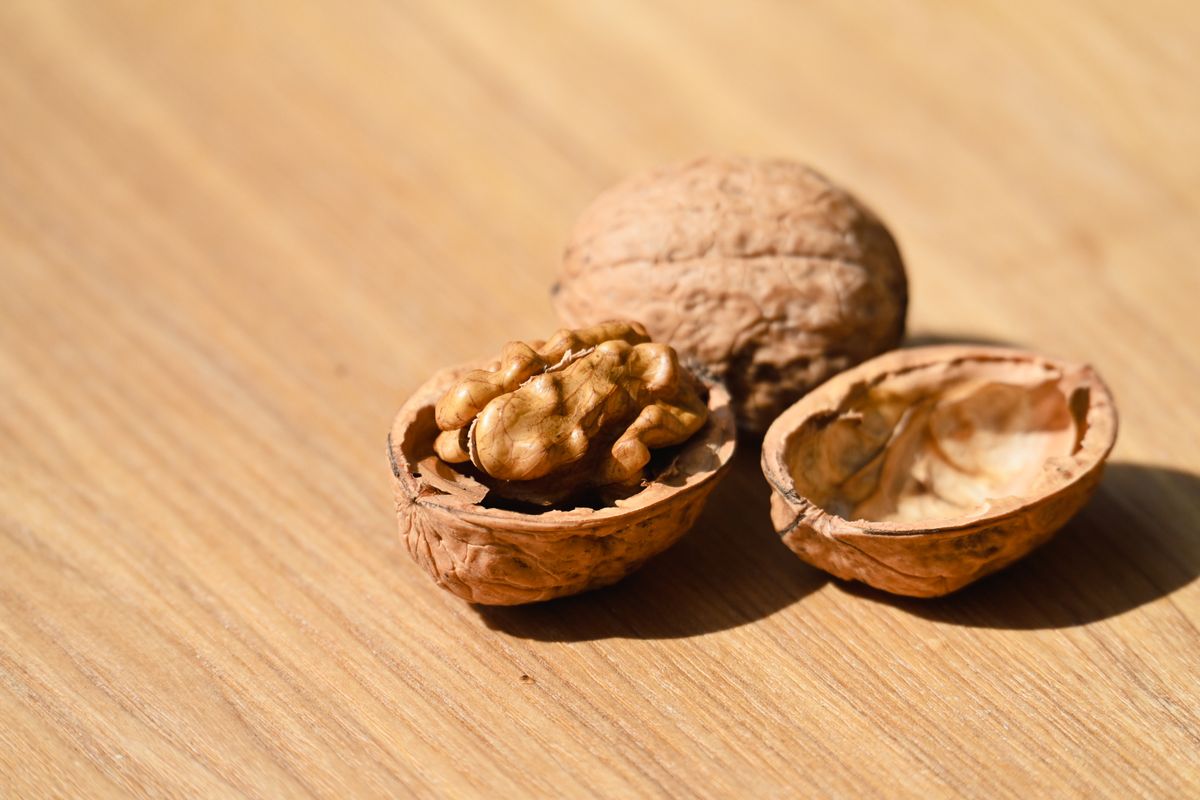 Walnut Photos, Download The BEST Free Walnut Stock Photos & HD Images