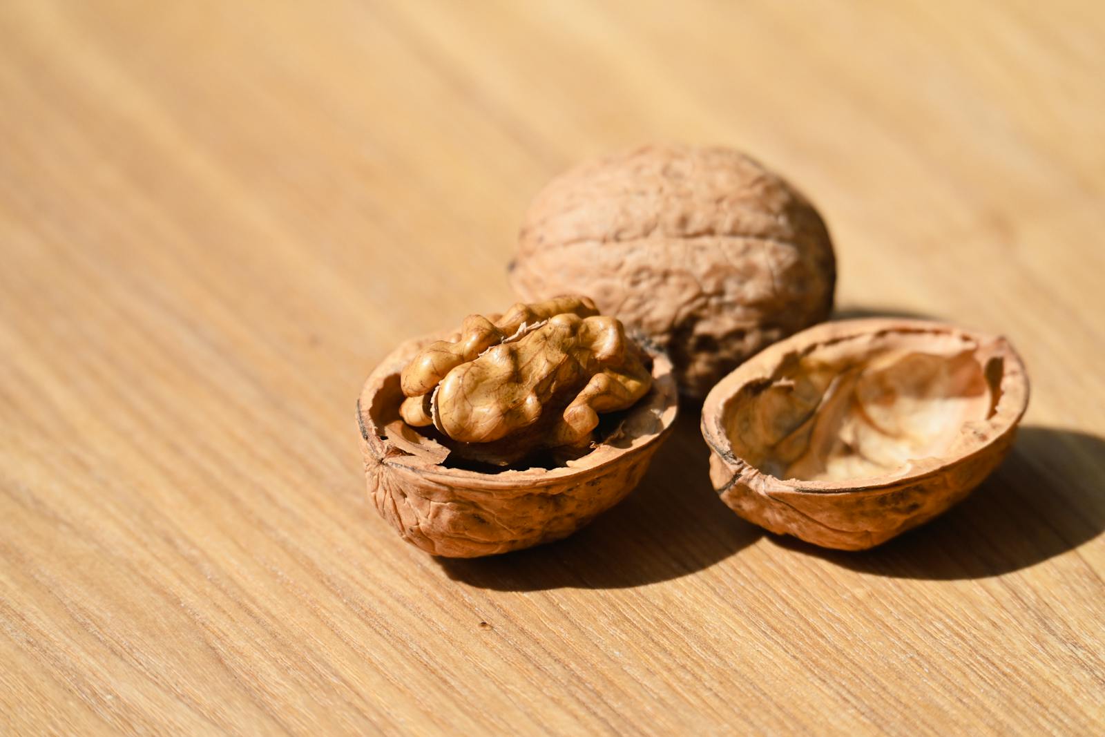Walnuts Photos, Download The BEST Free Walnuts Stock Photos & HD Images