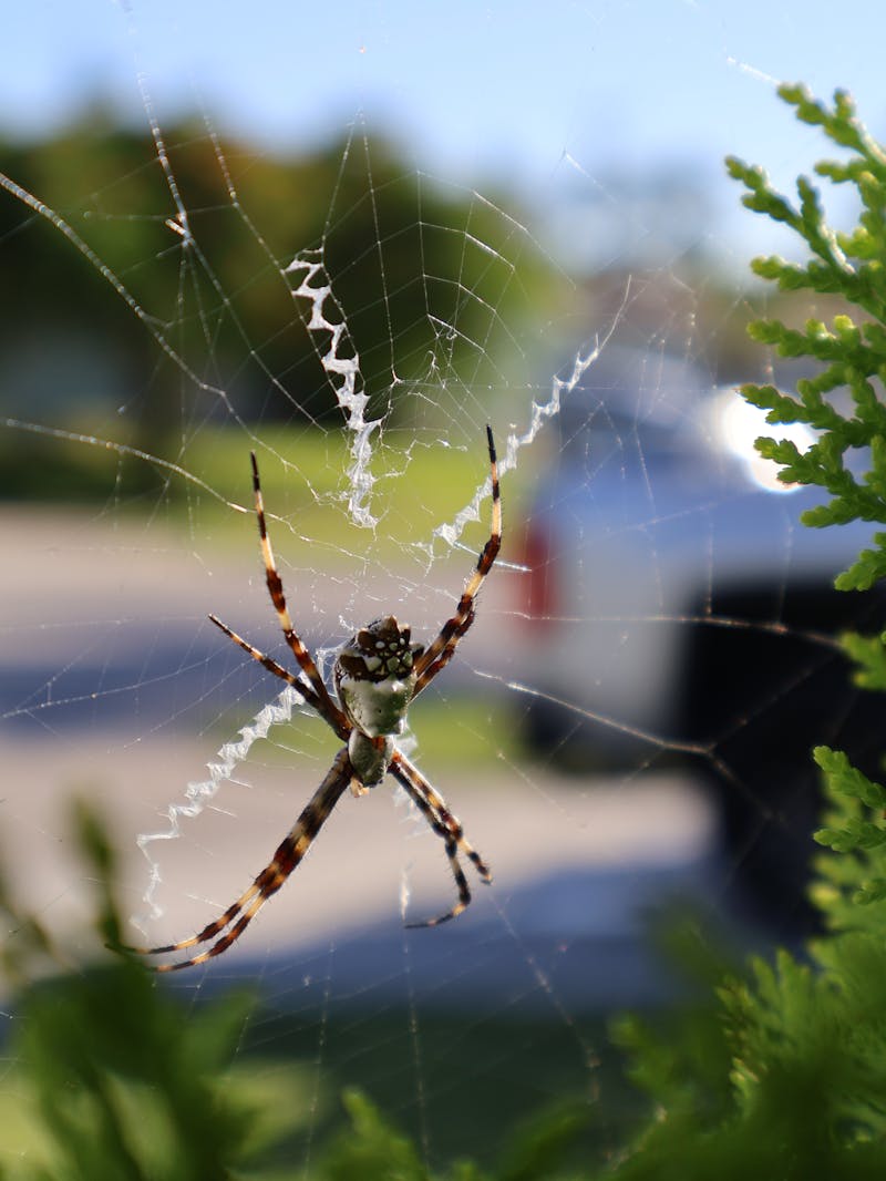 Background Without Blur Photos, Download The BEST Free Background ...