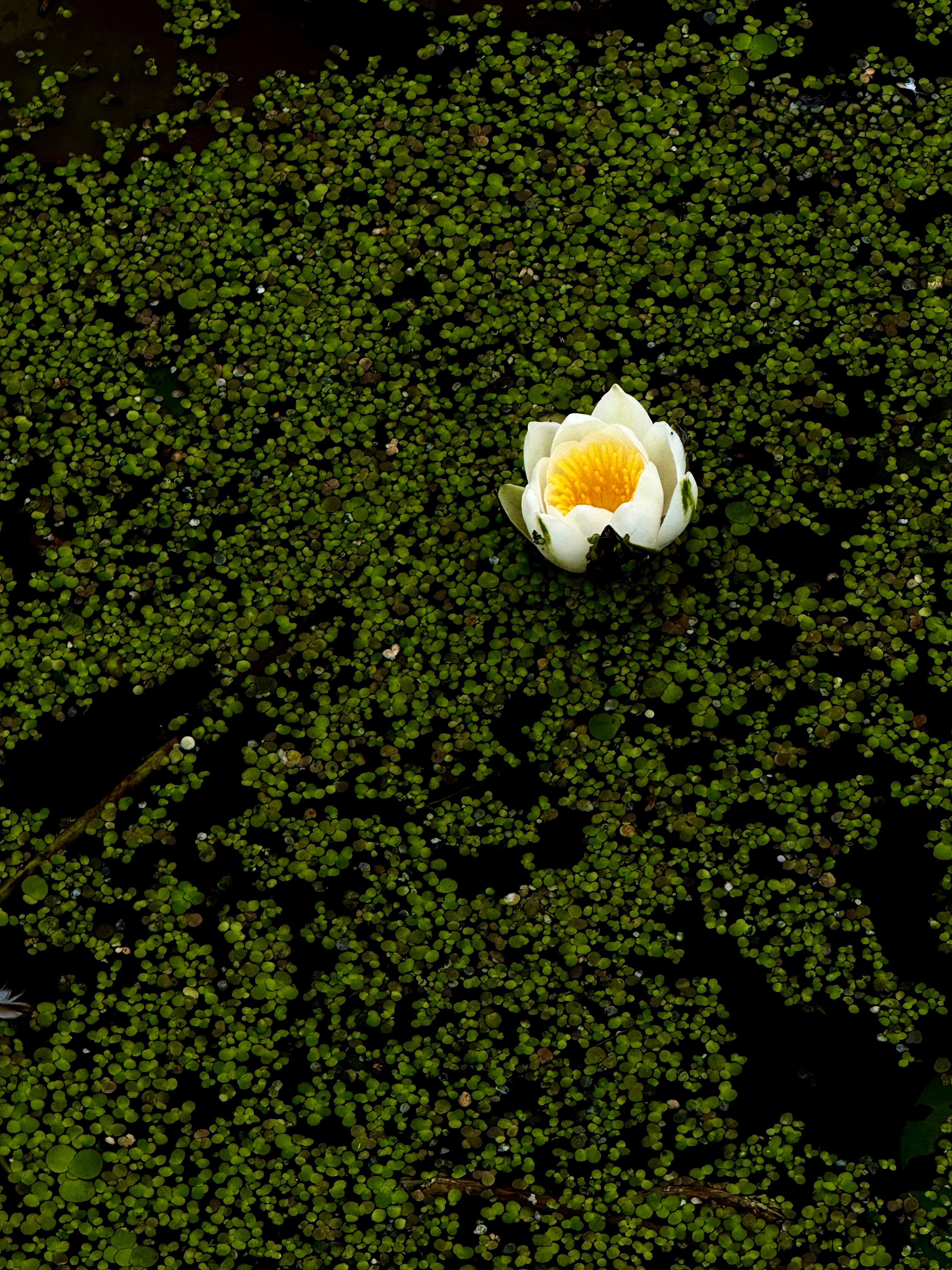 Spring Time Photos, Download The BEST Free Spring Time Stock Photos ...