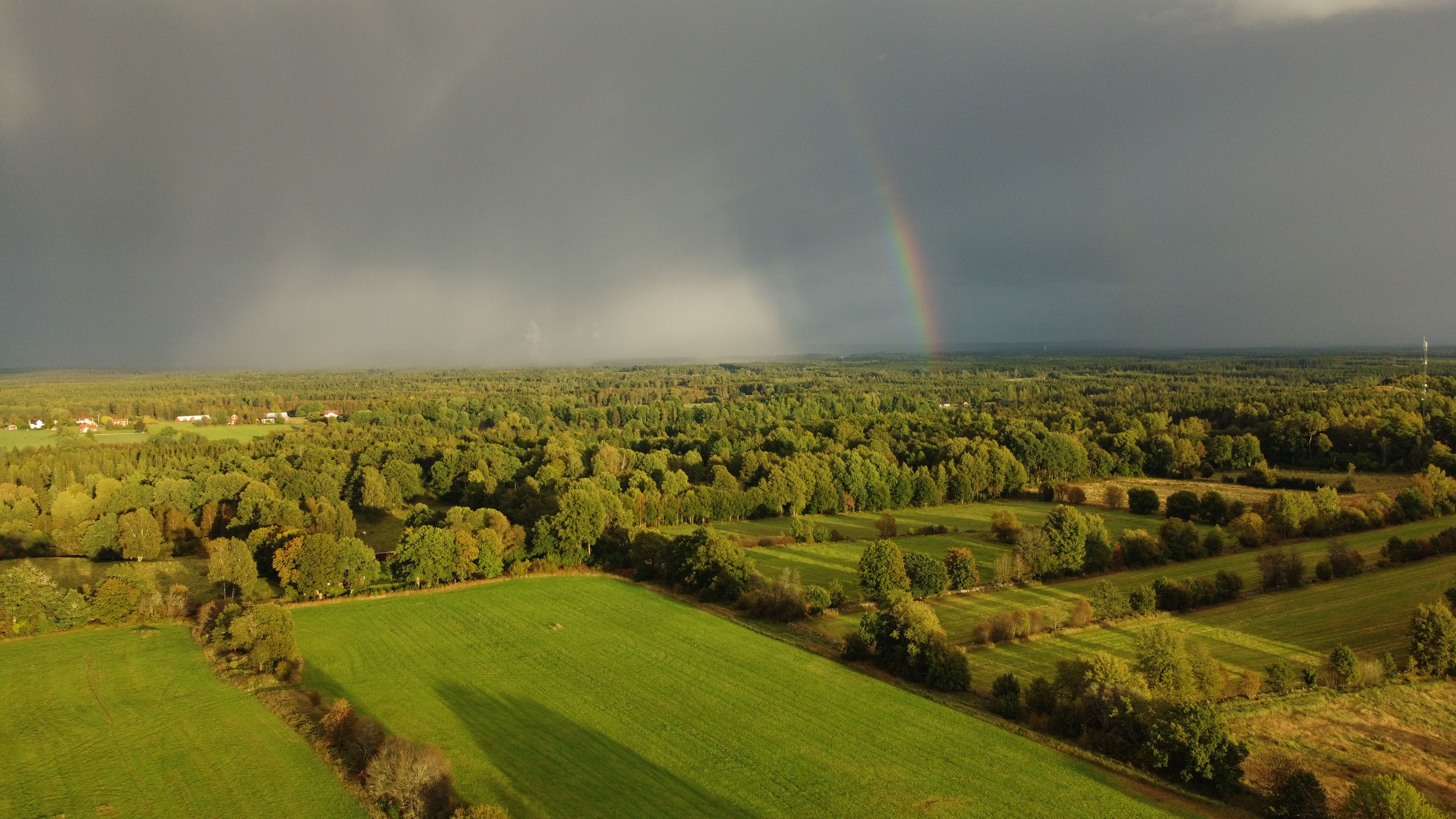 Aerial View of Lush Swedish Landscape with Rainbow · Free Stock Photo