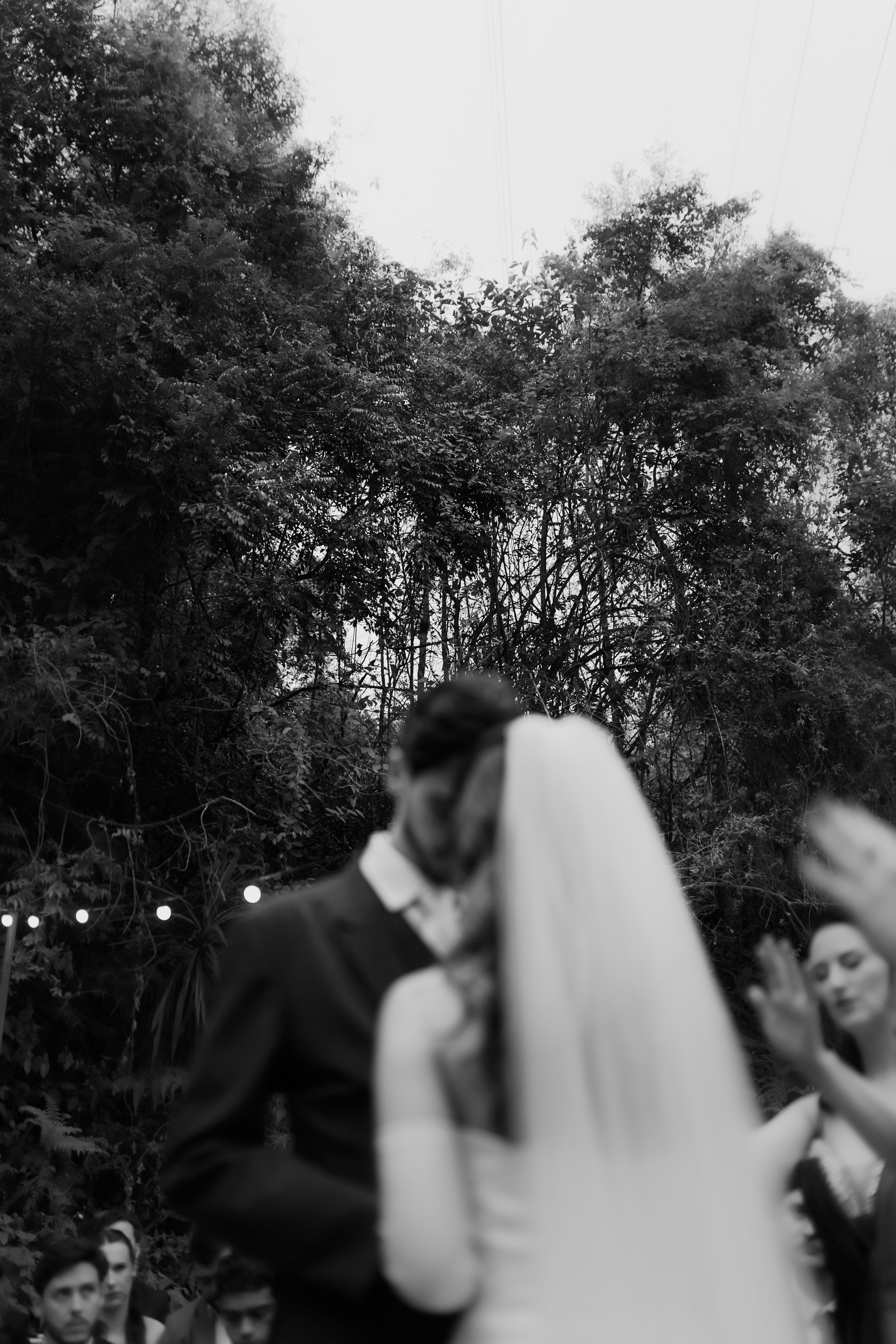 Foto de stock gratuita sobre afecto, al aire libre, alegría, amor ...