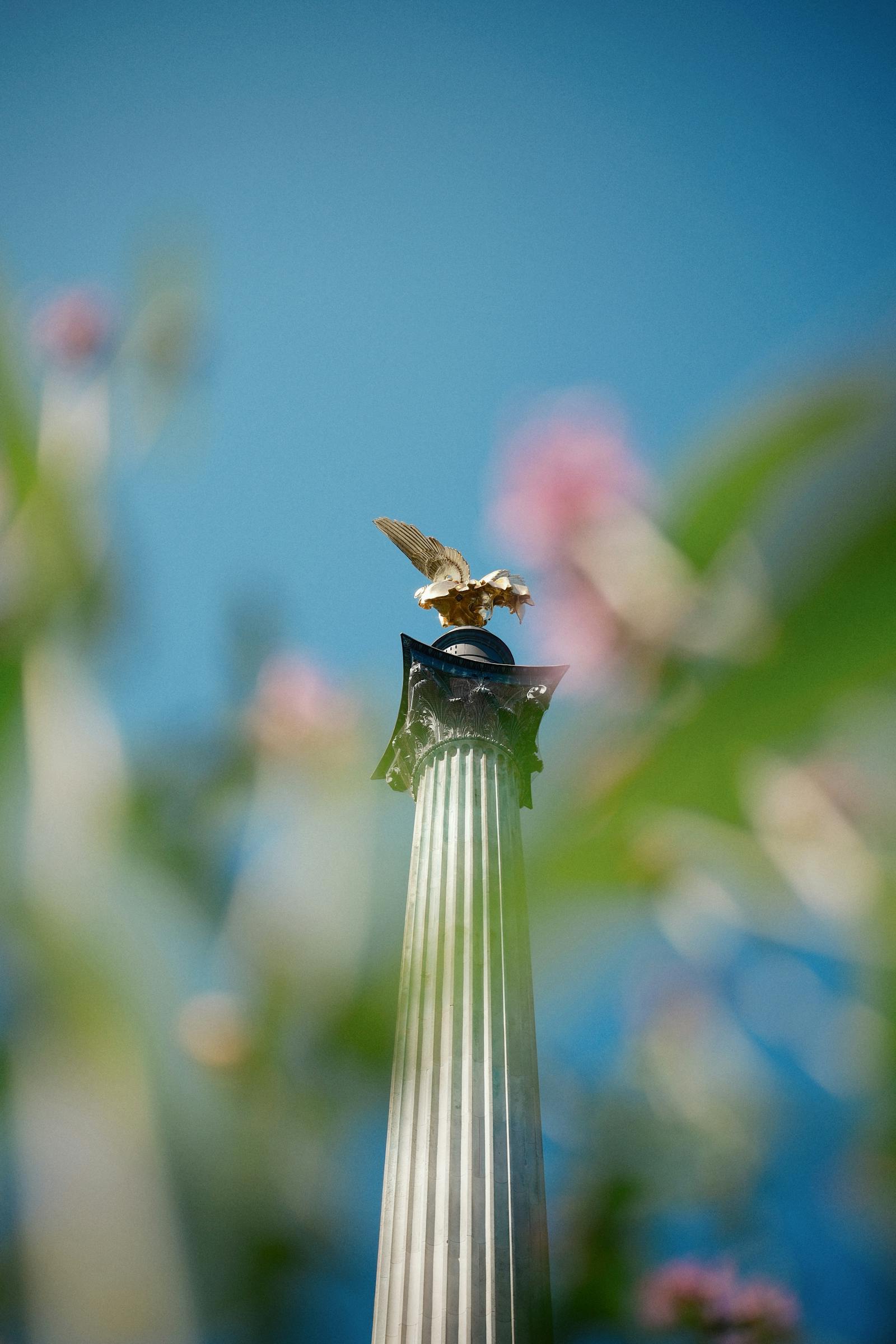 Background Without Blur Photos, Download The BEST Free Background ...