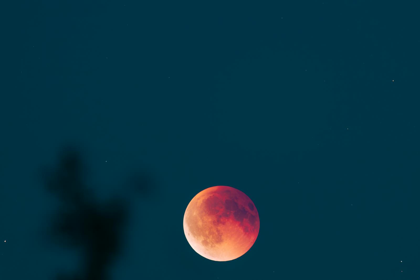 Red Moon Photos, Download The BEST Free Red Moon Stock Photos & HD Images