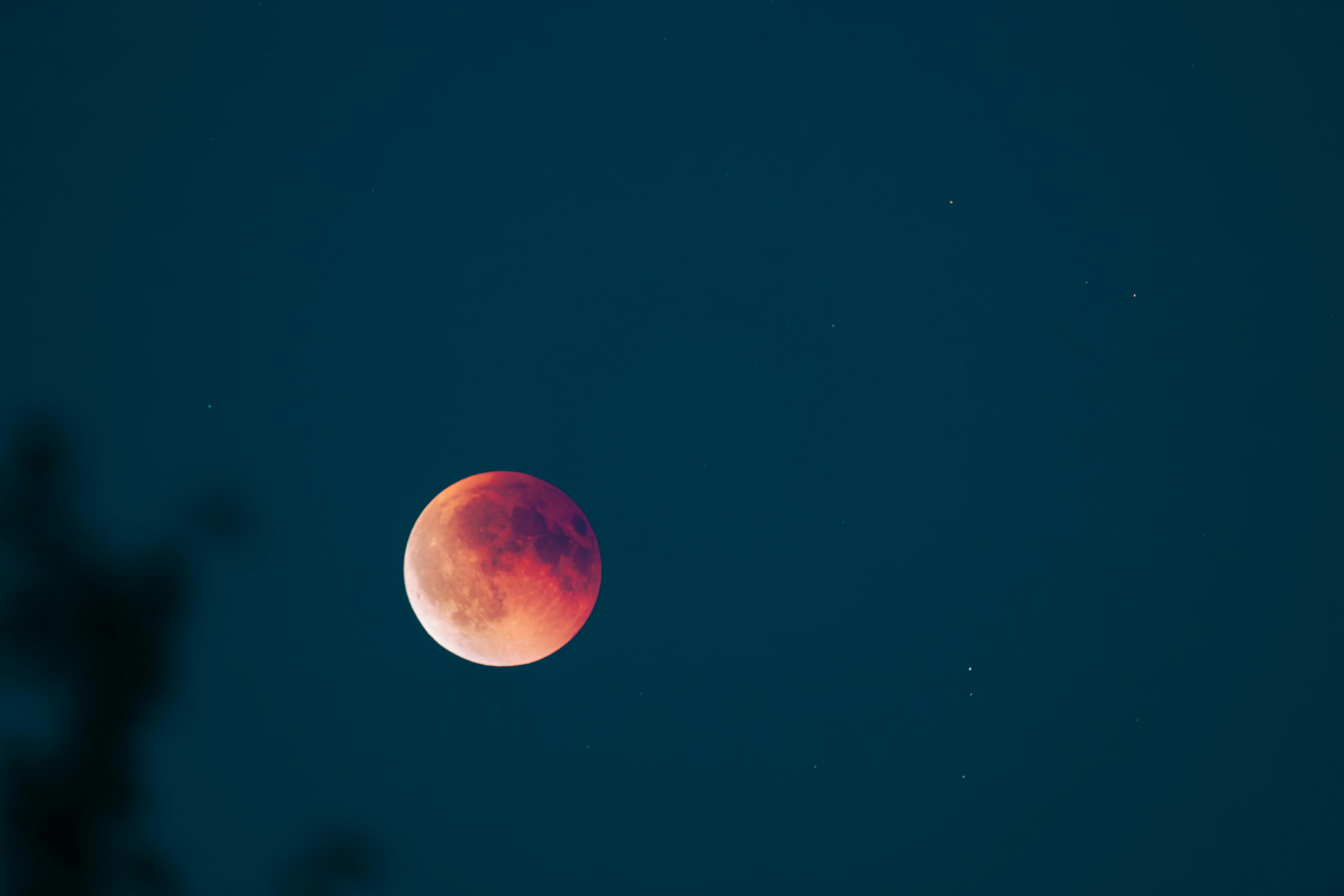 Red Moon Photos, Download The BEST Free Red Moon Stock Photos & HD Images